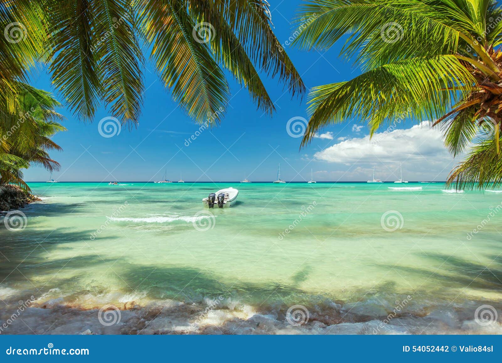 Palm Trees and a Boat on Luxury Exotic Carribean Beach Stock Photo ...