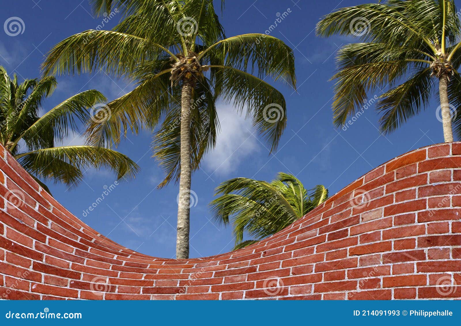 Palm Trees and Brick Wall Fake Stock Image - Image of beach, holidays ...