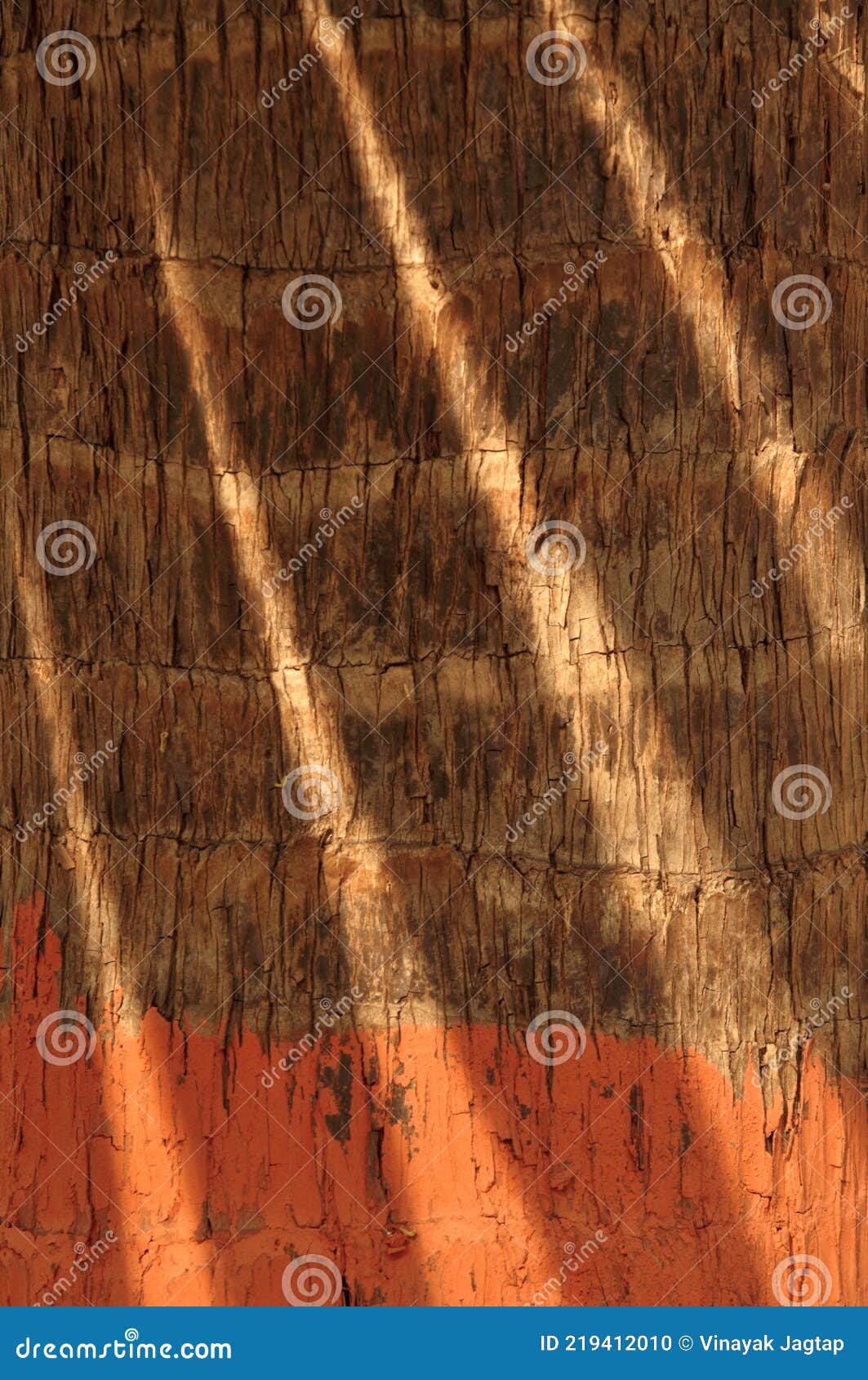 Palm Trees Cast Shadows on Tree Trunk. Creative Fine Art Background ...