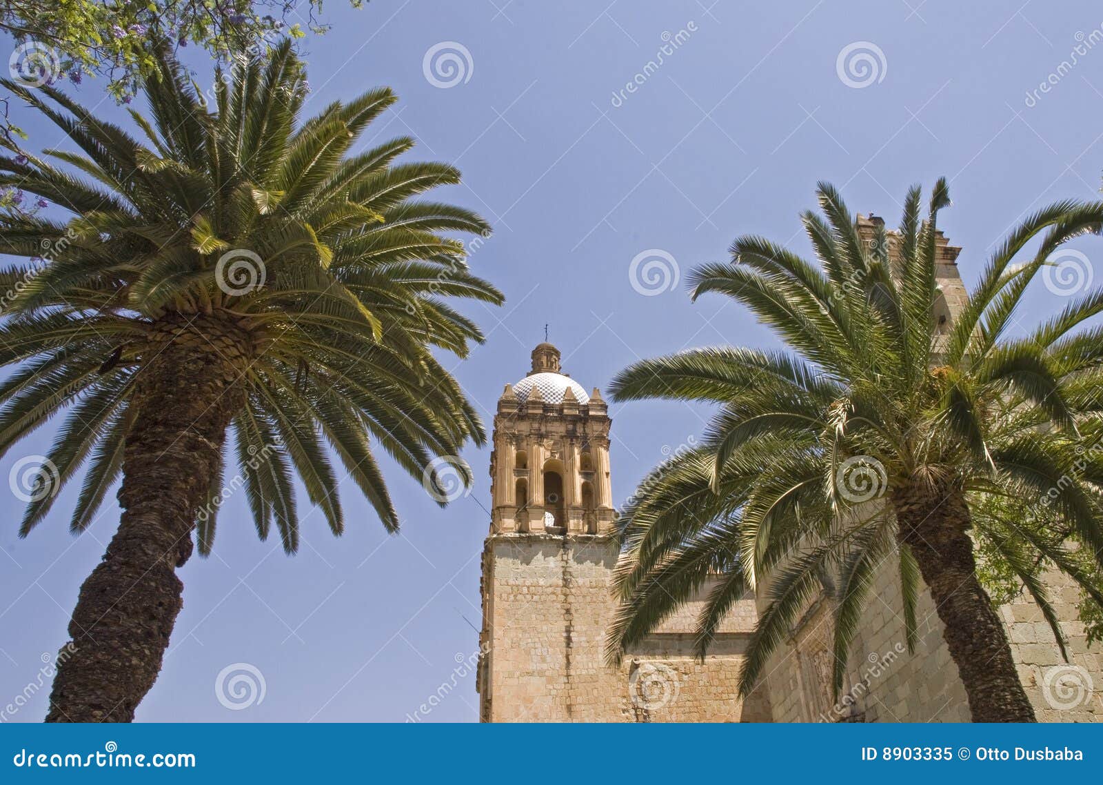Palm Trees with Church Tower Stock Image - Image of mexico, religious ...