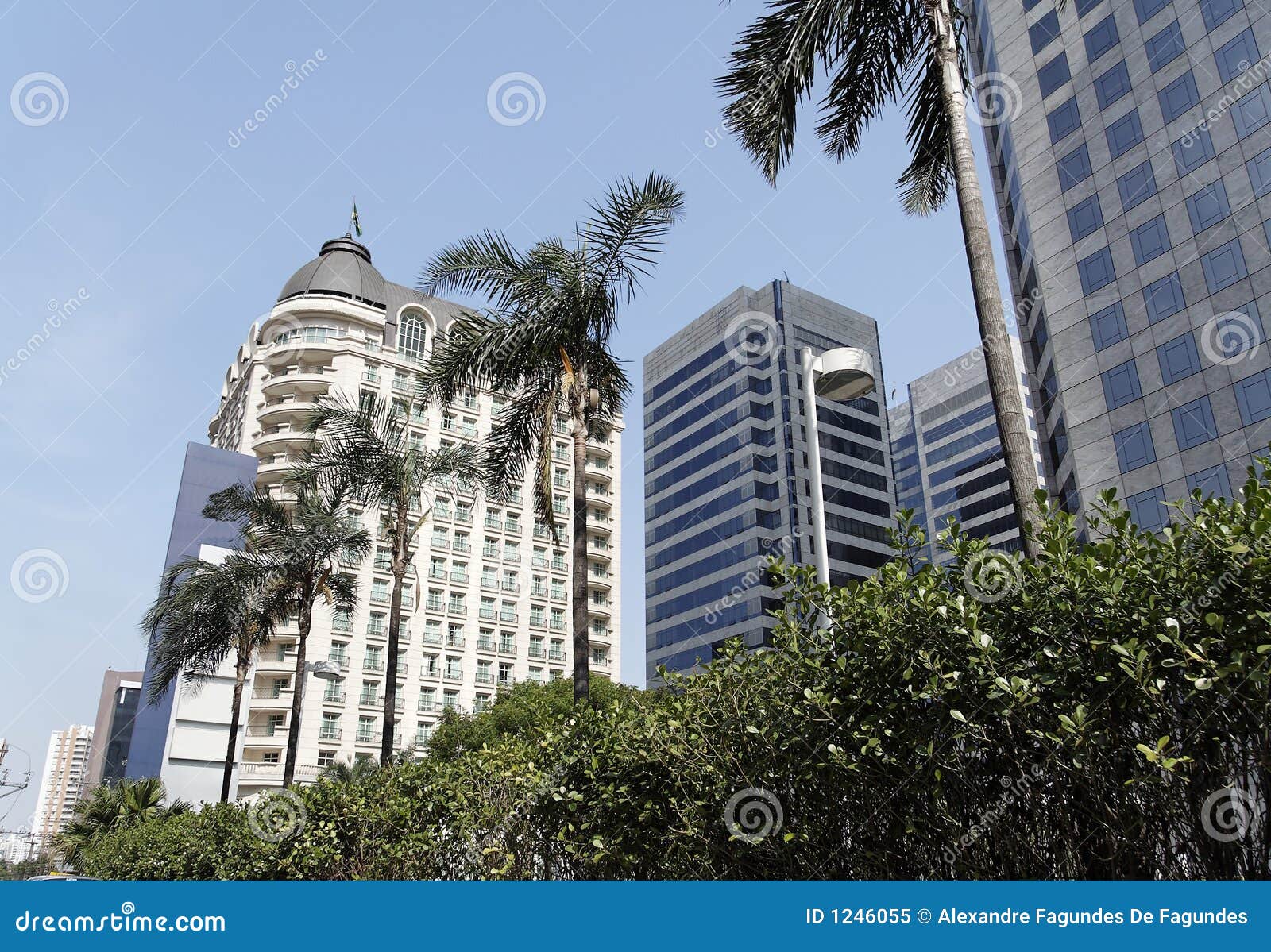 Palm Trees and Classic Building Stock Image - Image of corporate ...