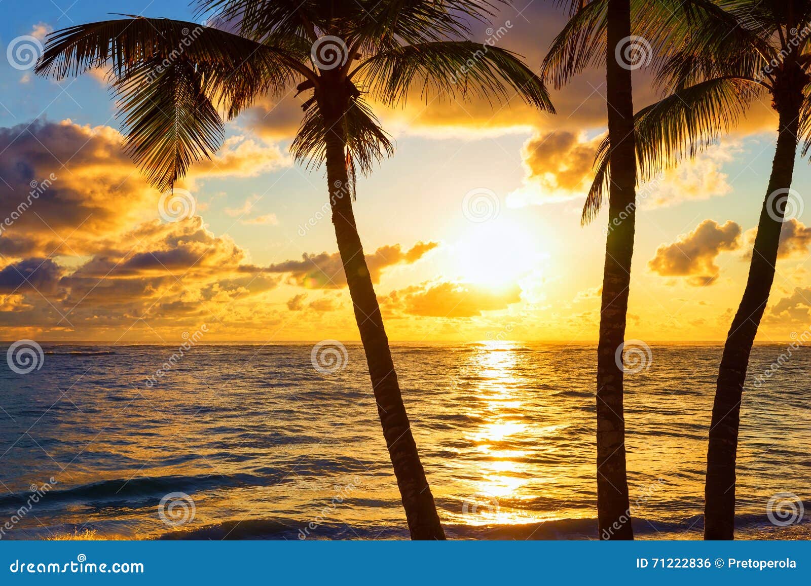 Palm Trees on Colorful Sun Set Stock Photo - Image of horizon, holiday ...