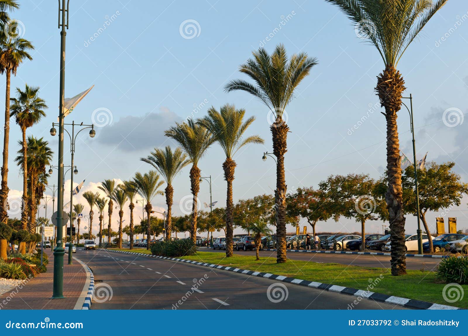 Palm Trees Column editorial photography. Image of flowers - 27033792