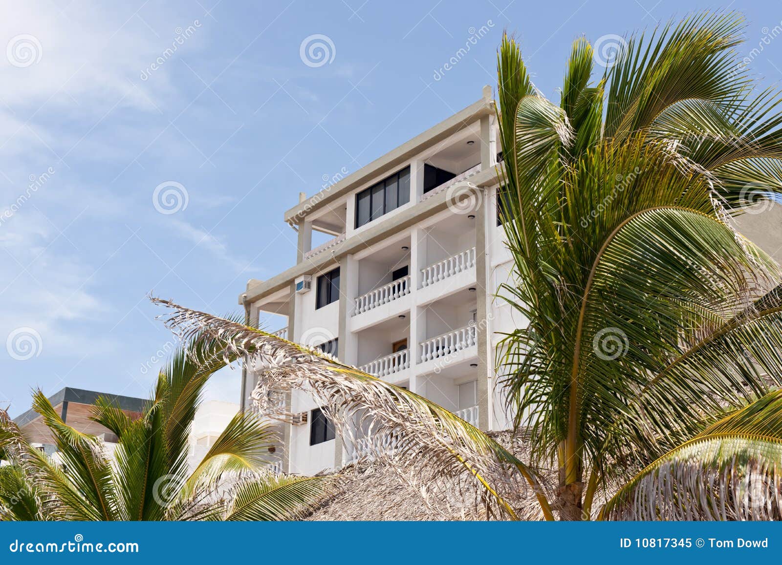 Palm trees and condominium stock image. Image of summery - 10817345
