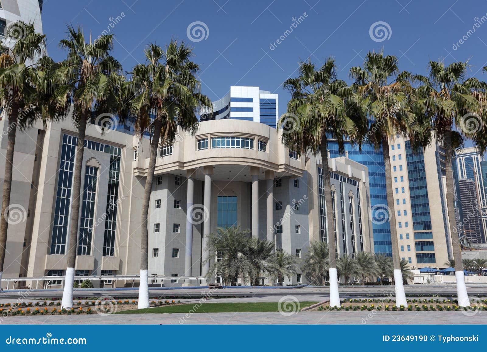 Palm Trees in Doha Downtown Stock Photo - Image of dafna, outdoors ...
