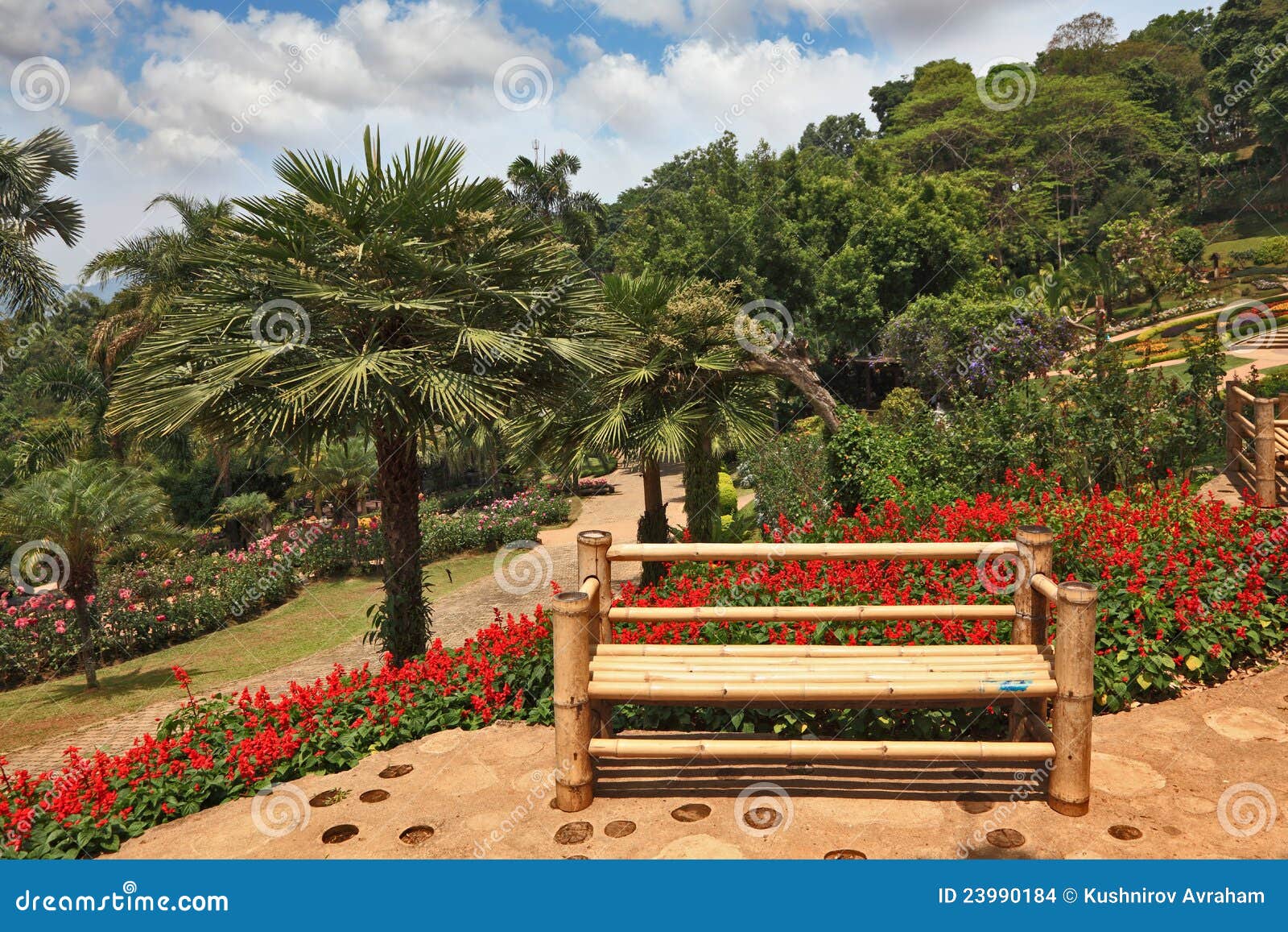 Palm Trees, Flower Beds and a Bench Stock Photo - Image of palm, path ...