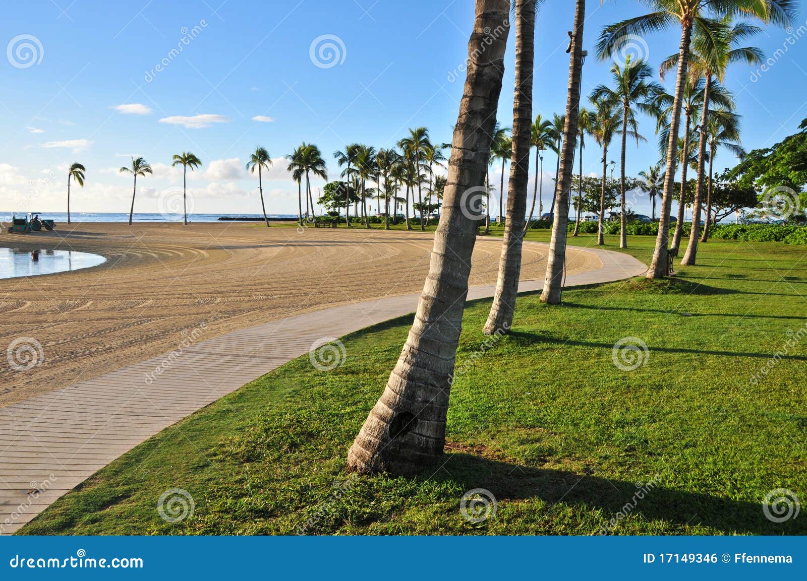 Palm Trees Follow a Path Around a Beach Stock Photo - Image of grass ...