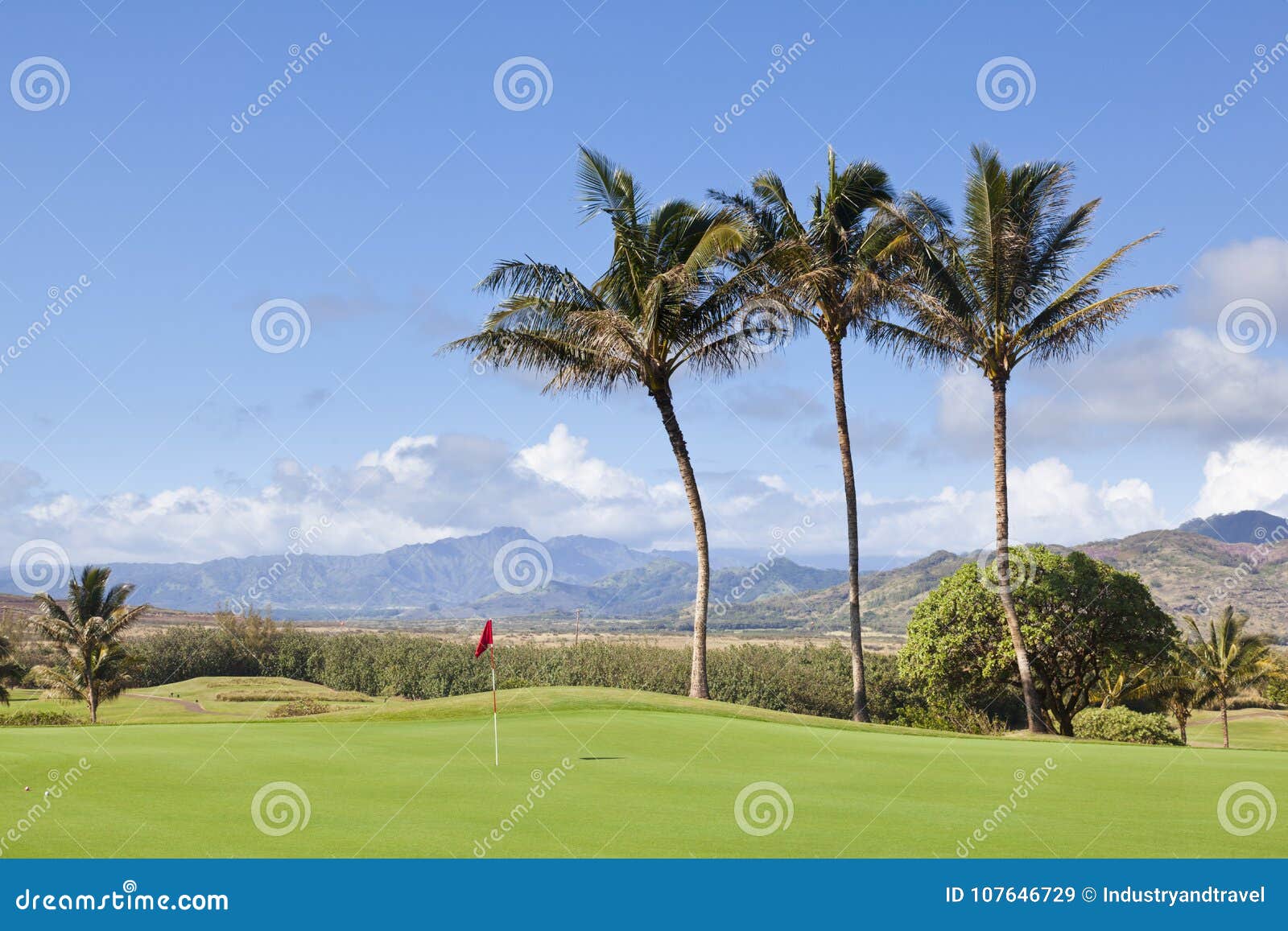 Palm Trees at Golf Course, Kauai Stock Image - Image of mountain, kauai ...