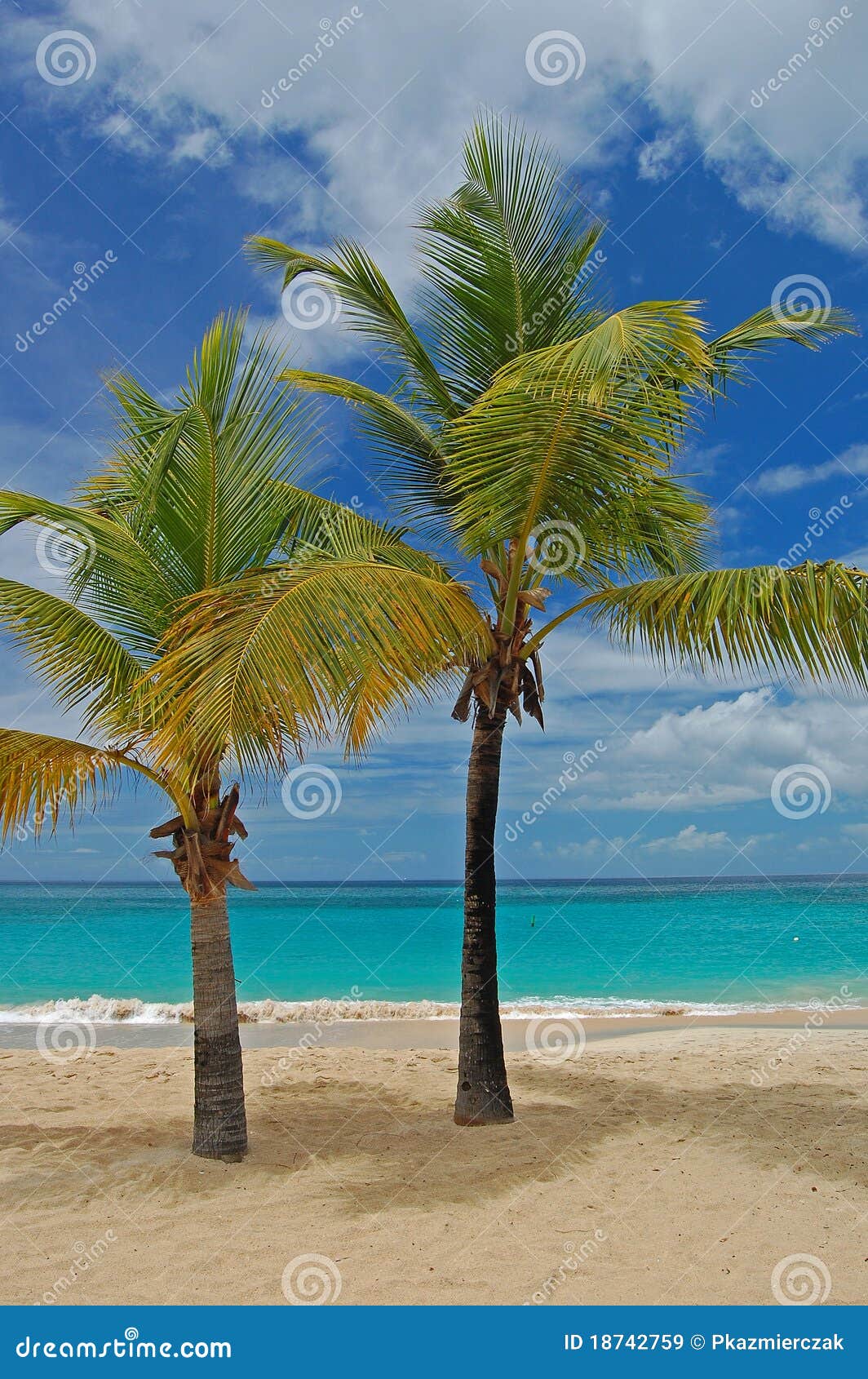 Palm Trees on Grand Anse Beach on Grenada Island Stock Image - Image of ...