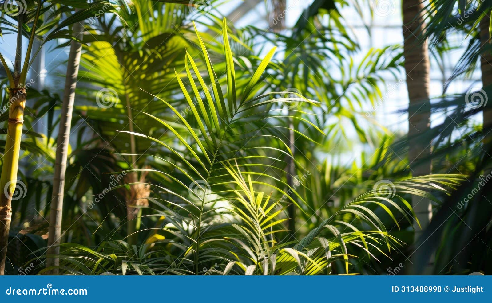 Palm Trees and Greenery are Planted Bringing Some Life and Color To the ...