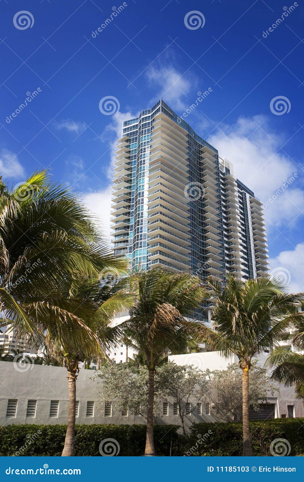 Palm Trees and High Rise Buildings on South Beach Stock Image - Image ...