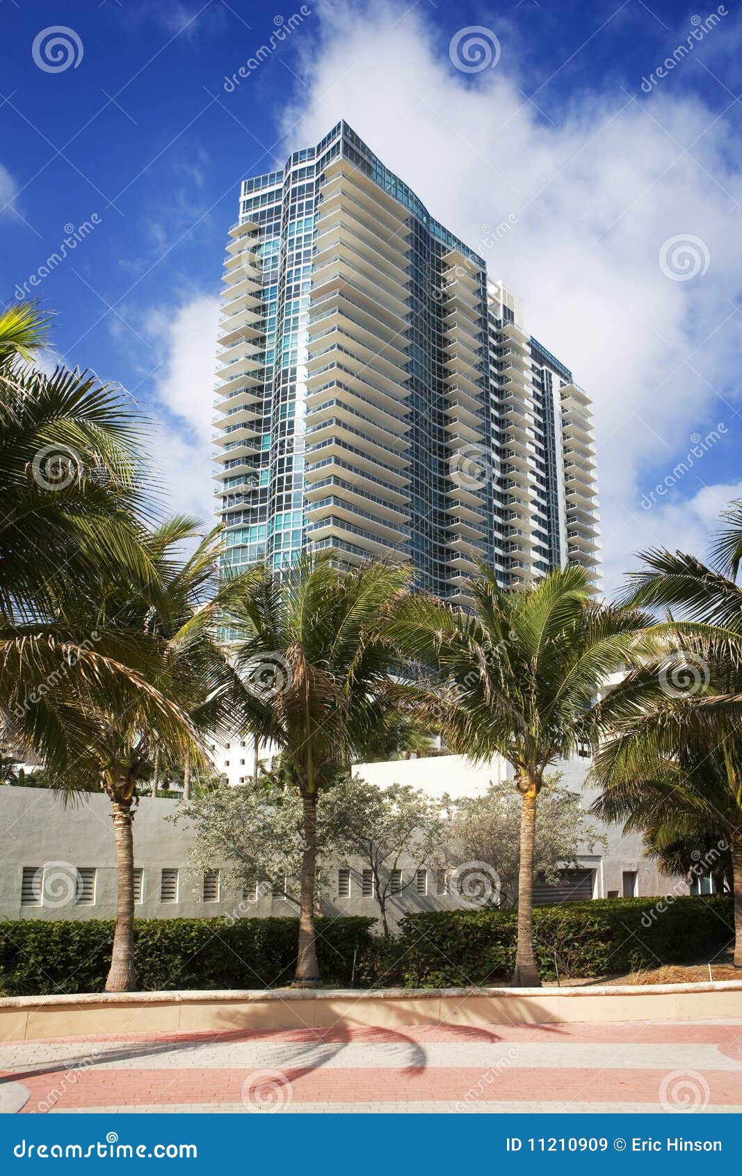 Palm Trees and High Rise Buildings on South Beach Stock Image - Image ...