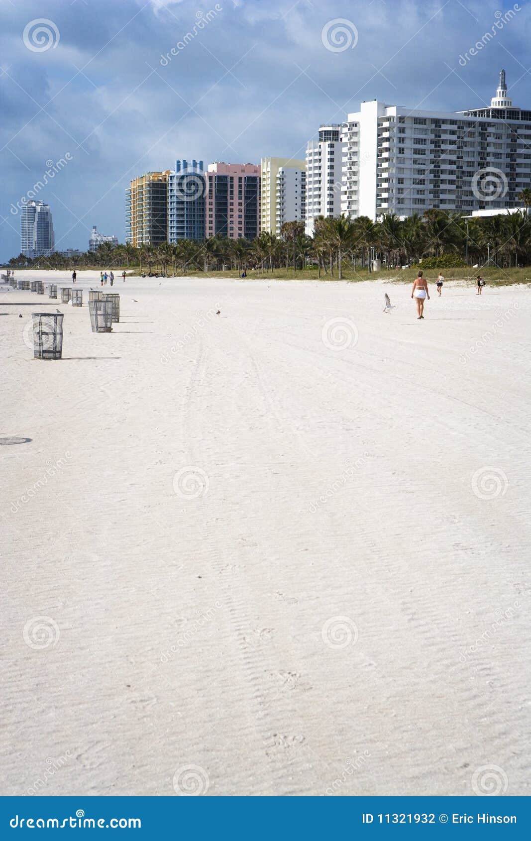 Palm Trees and High Rise Buildings on South Beach Stock Photo - Image ...