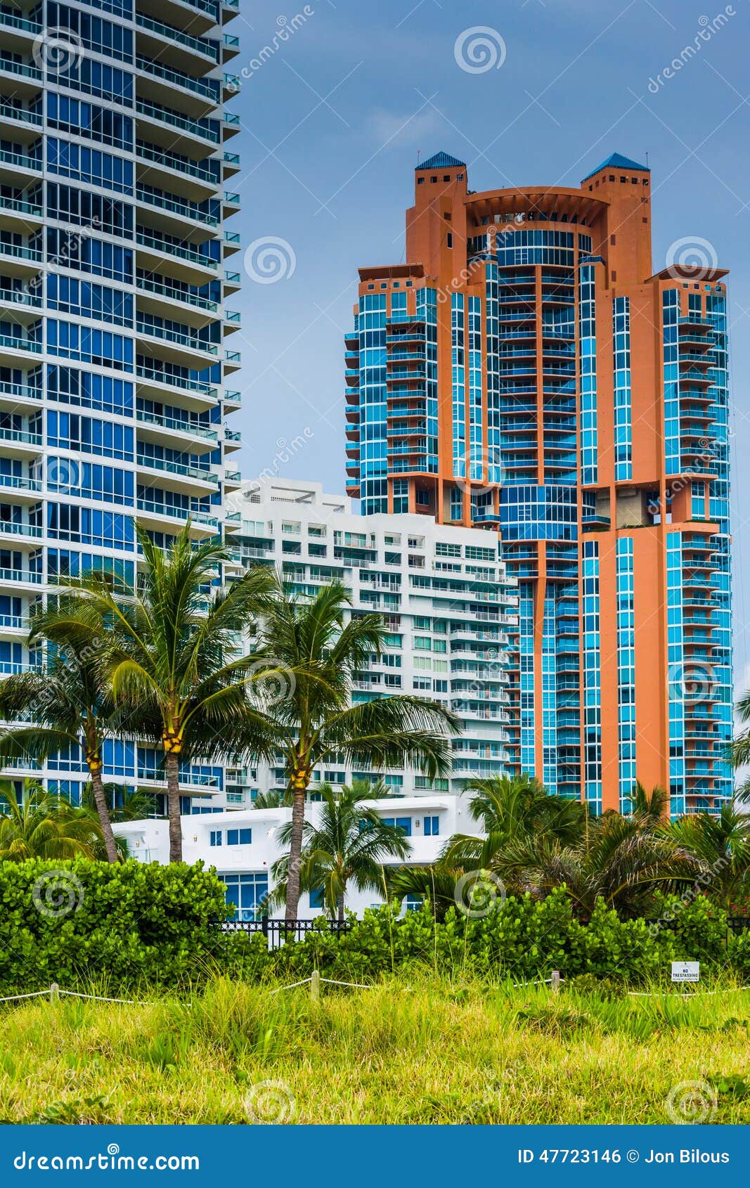 Palm Trees and Highrises in South Beach, Miami, Florida. Stock Photo ...