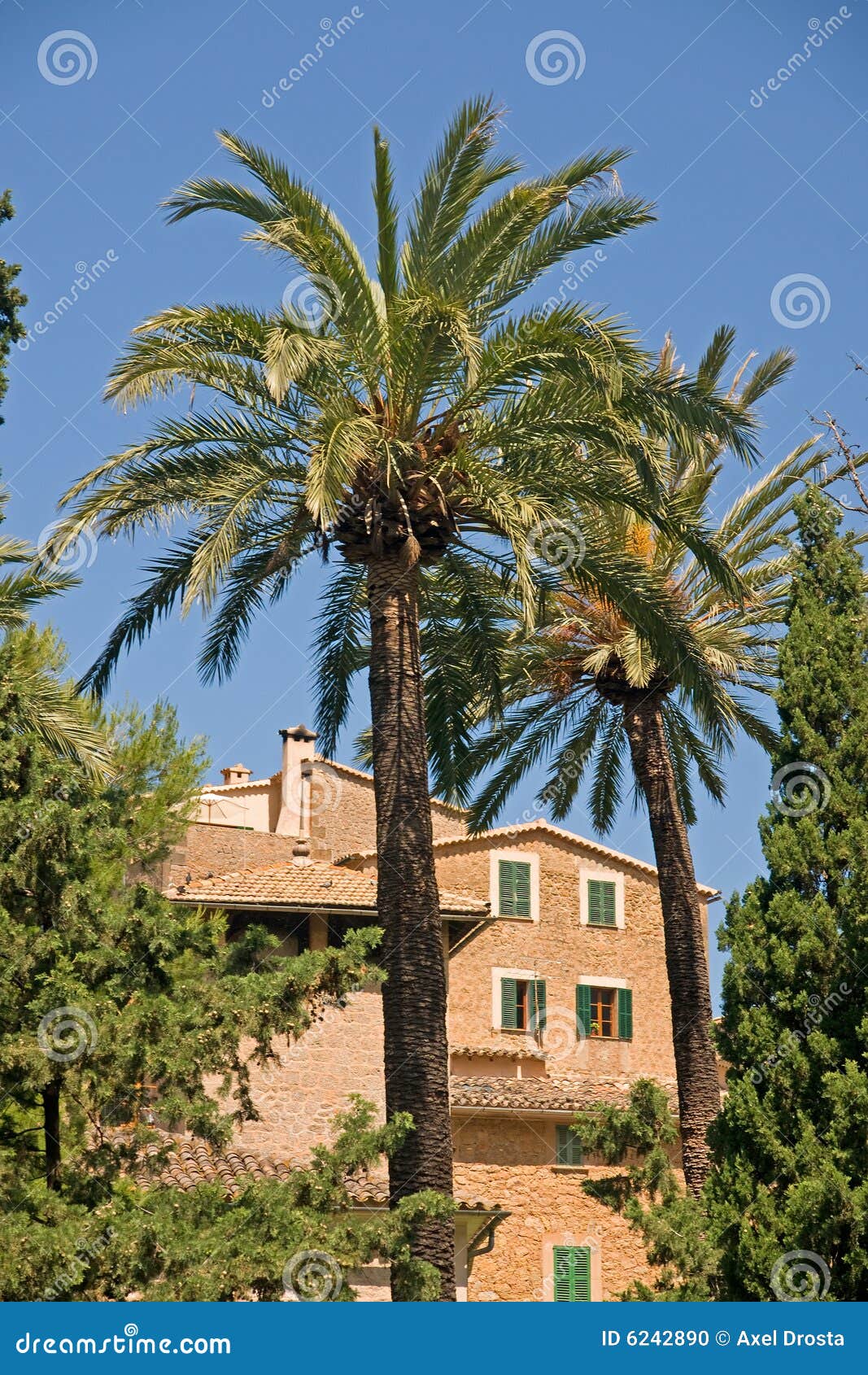 Palm trees and house stock photo. Image of mallorca, spanish - 6242890