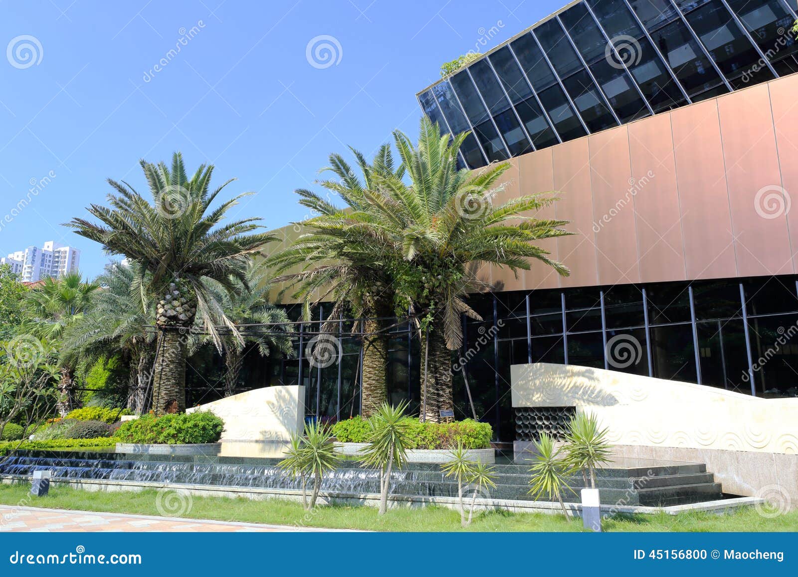 Palm trees house stock photo. Image of classic, villas - 45156800