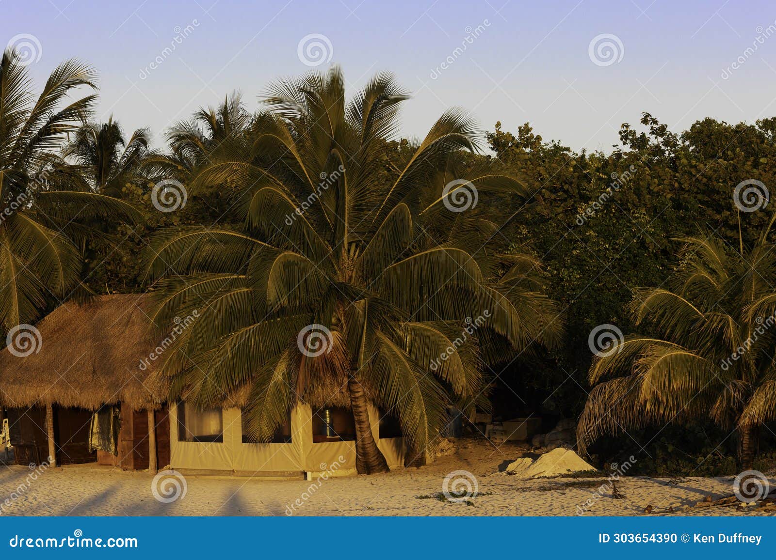 Palm Trees and Hut on a Beach Stock Photo - Image of element, nature ...