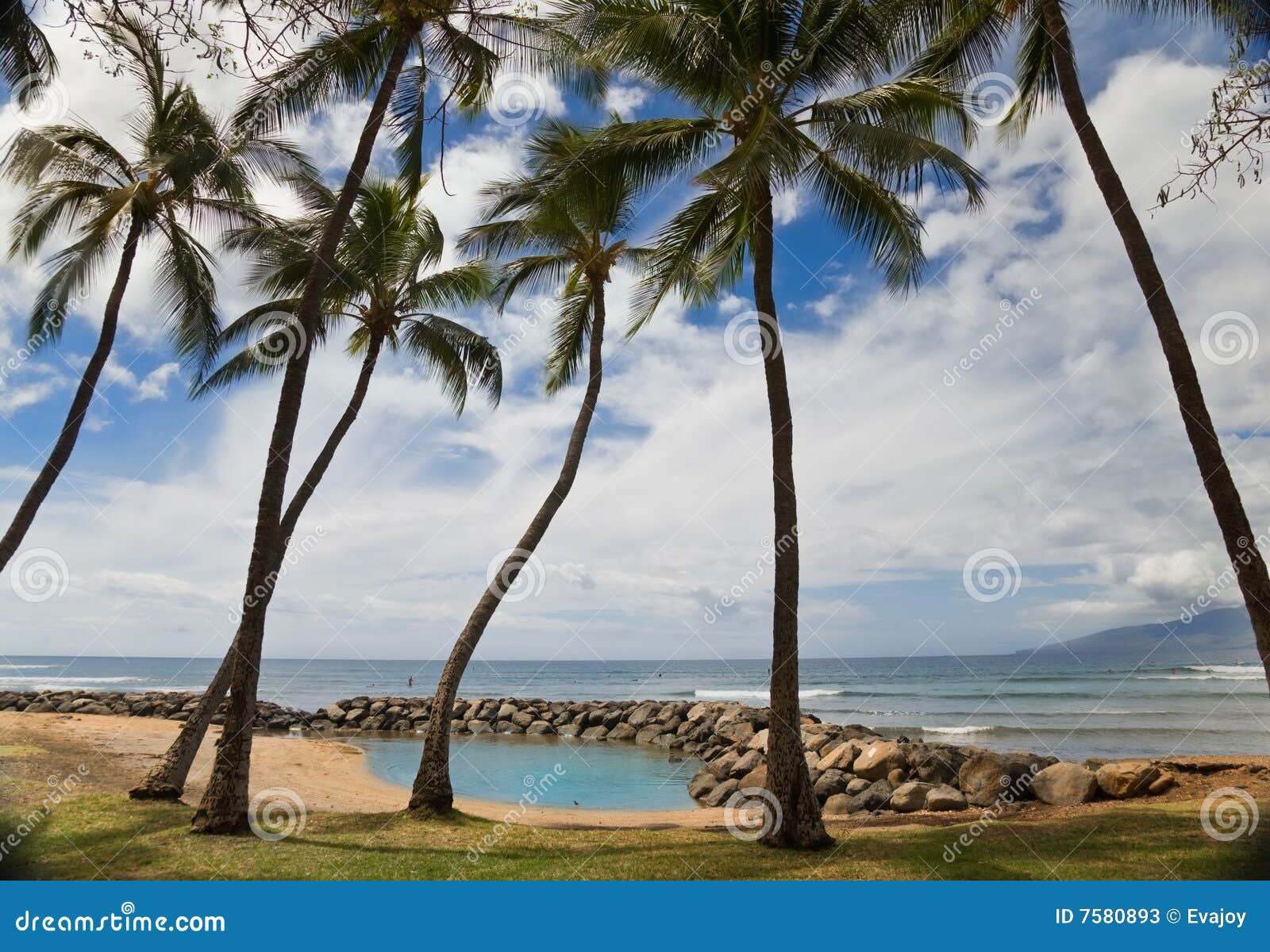 Palm Trees on Lagoon stock image. Image of sports, sunshine - 7580893