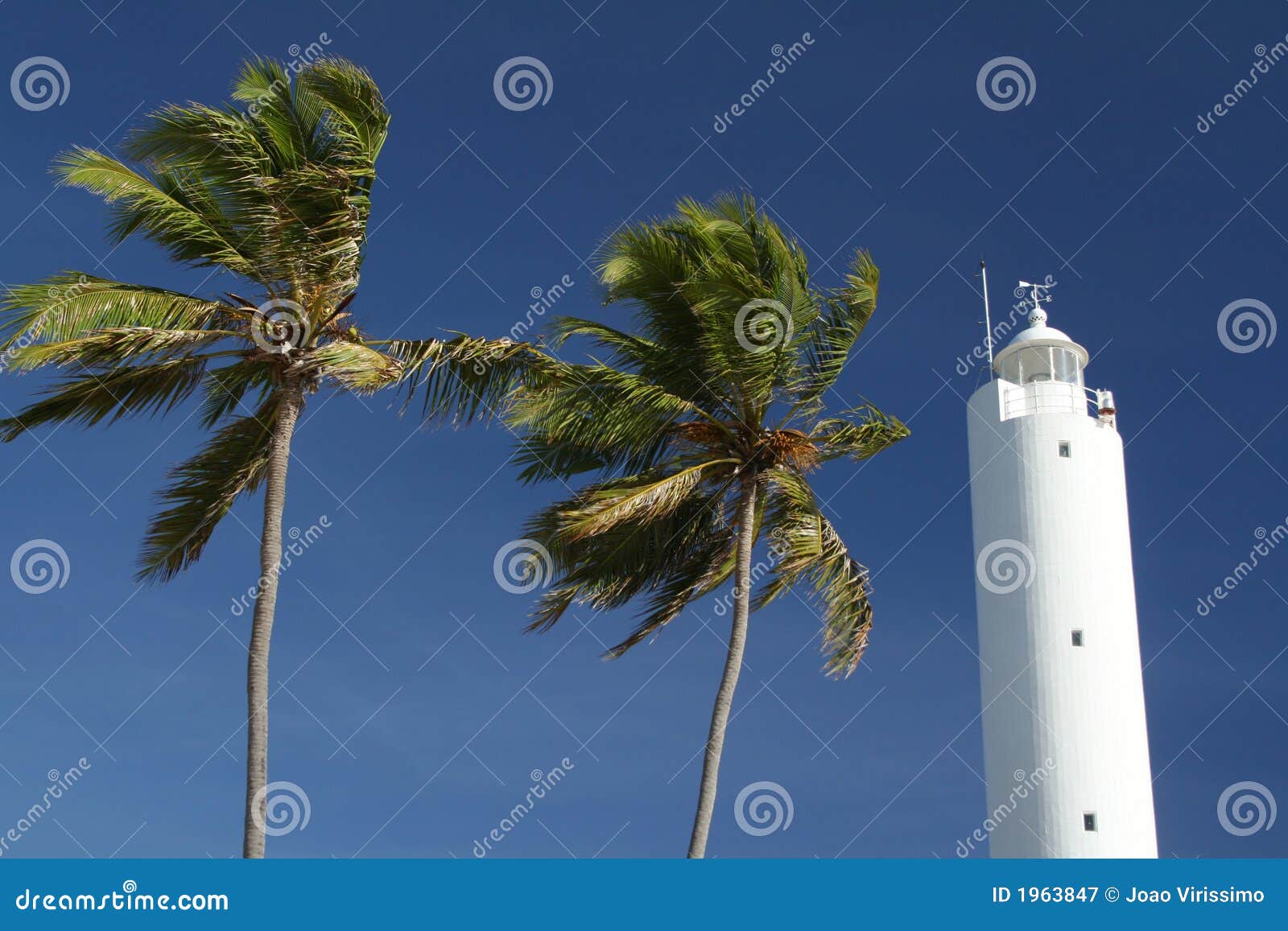 Palm Trees and Lighthouse stock image. Image of wind, forte - 1963847