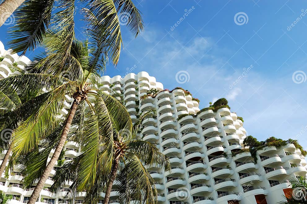 Palm Trees at the Luxury Hotel Stock Photo - Image of resort, hotel ...