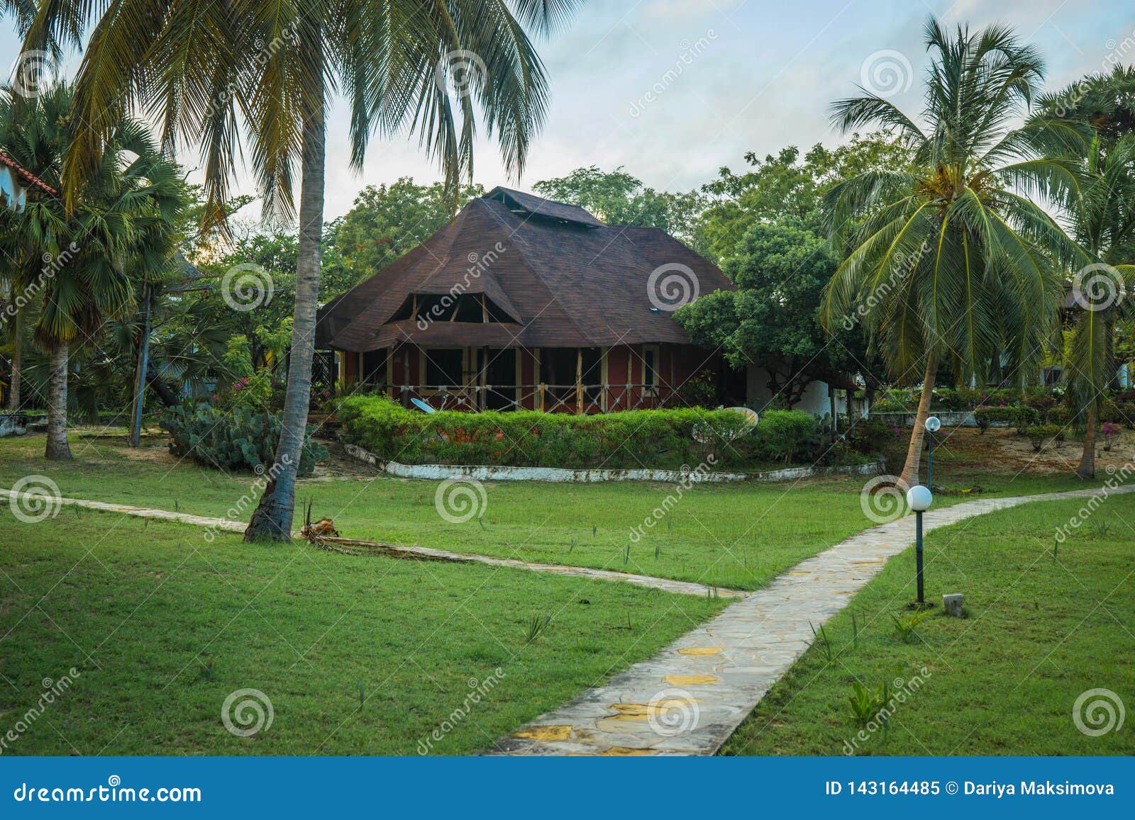 Palm Trees in Malindi in Eastern Kenya Stock Image - Image of palms ...