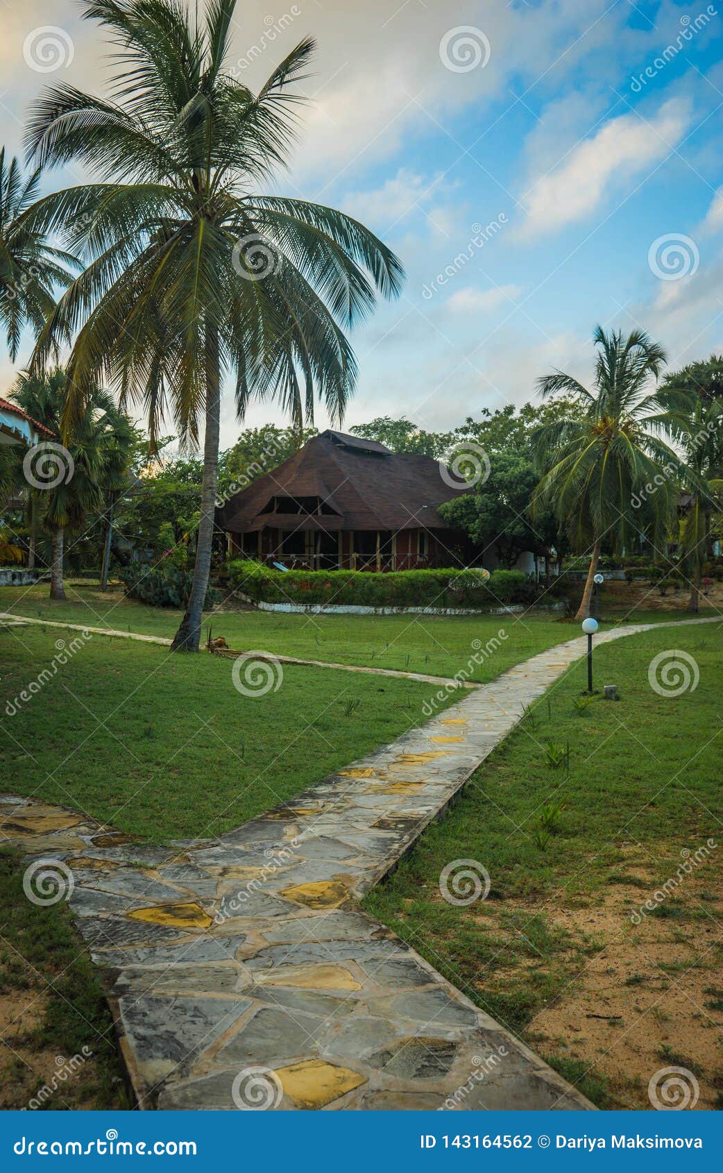 Palm Trees in Malindi in Eastern Kenya Stock Photo - Image of season ...