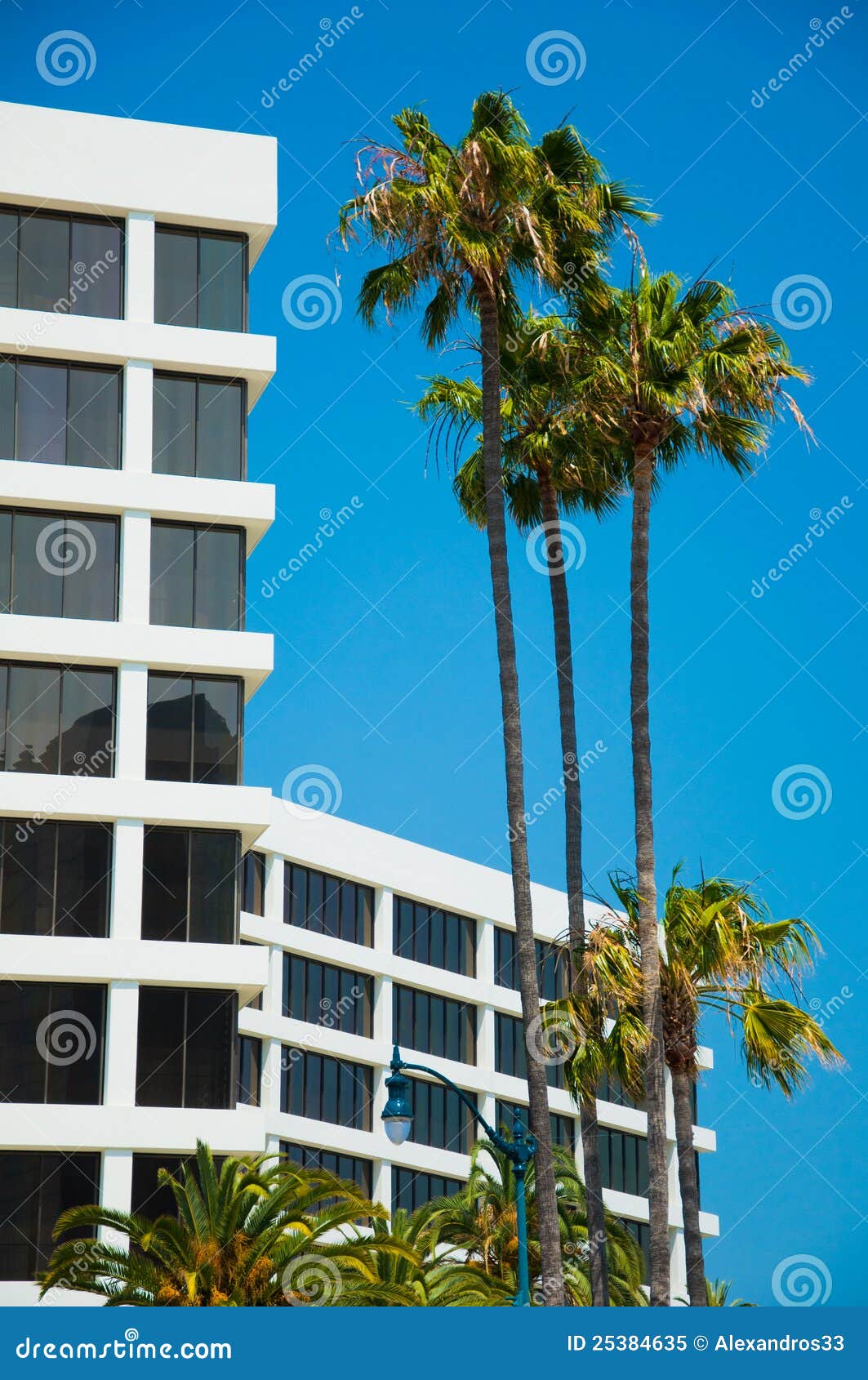 Palm Trees and Modern Architecture Stock Image - Image of chair ...