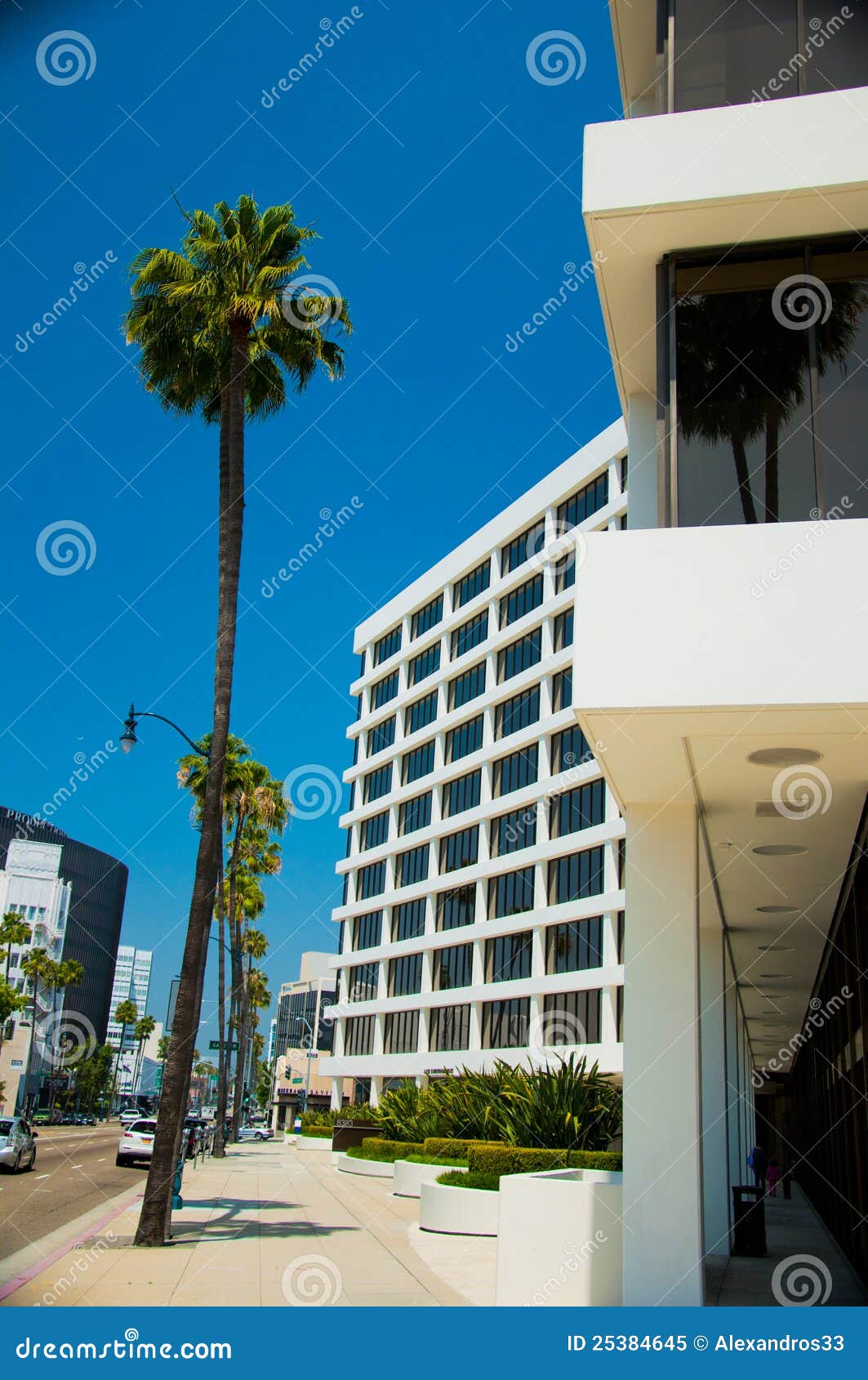 Palm Trees and Modern Architecture Stock Image - Image of bush ...