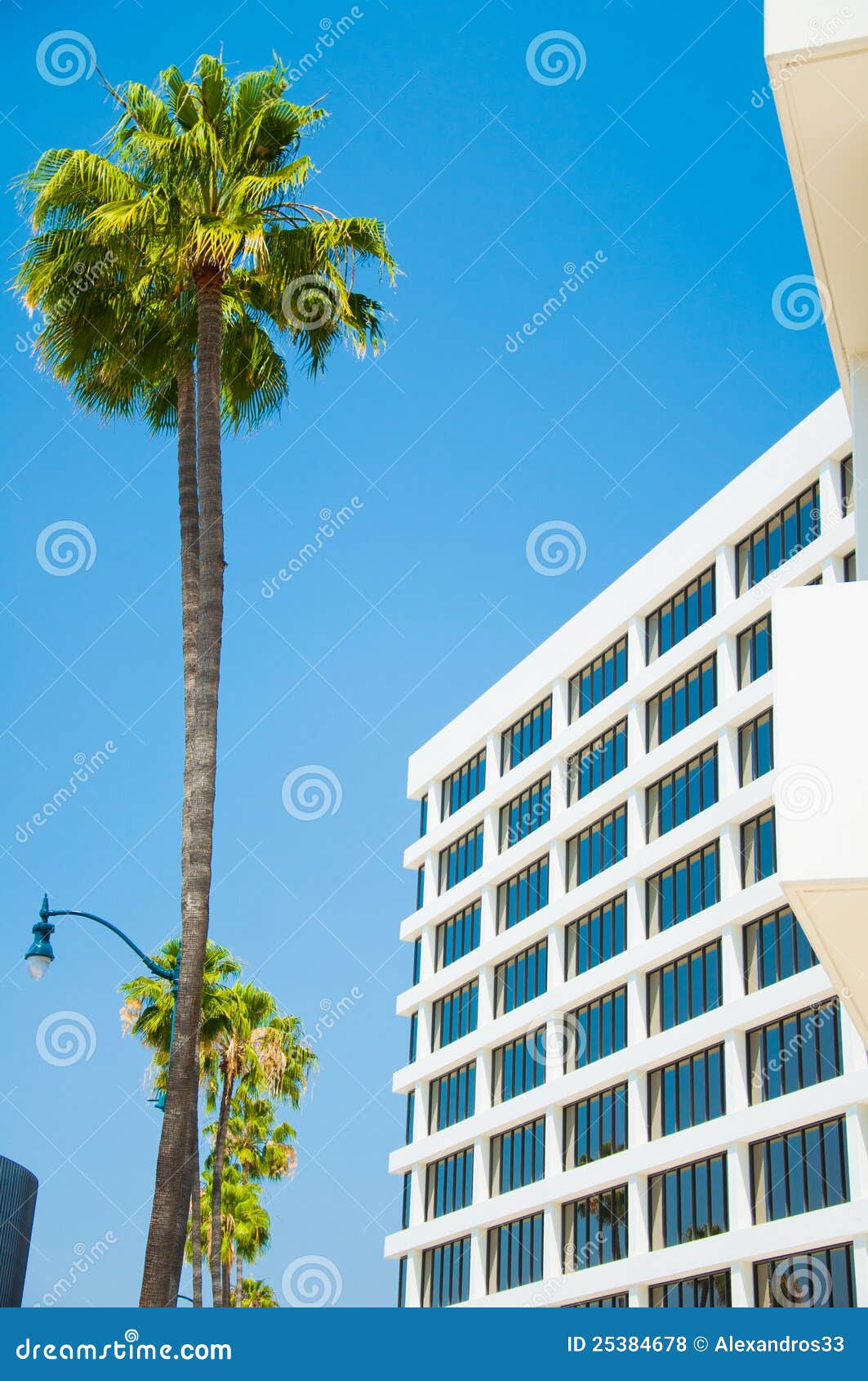 Palm Trees and Modern Architecture Stock Photo - Image of flowerpot ...