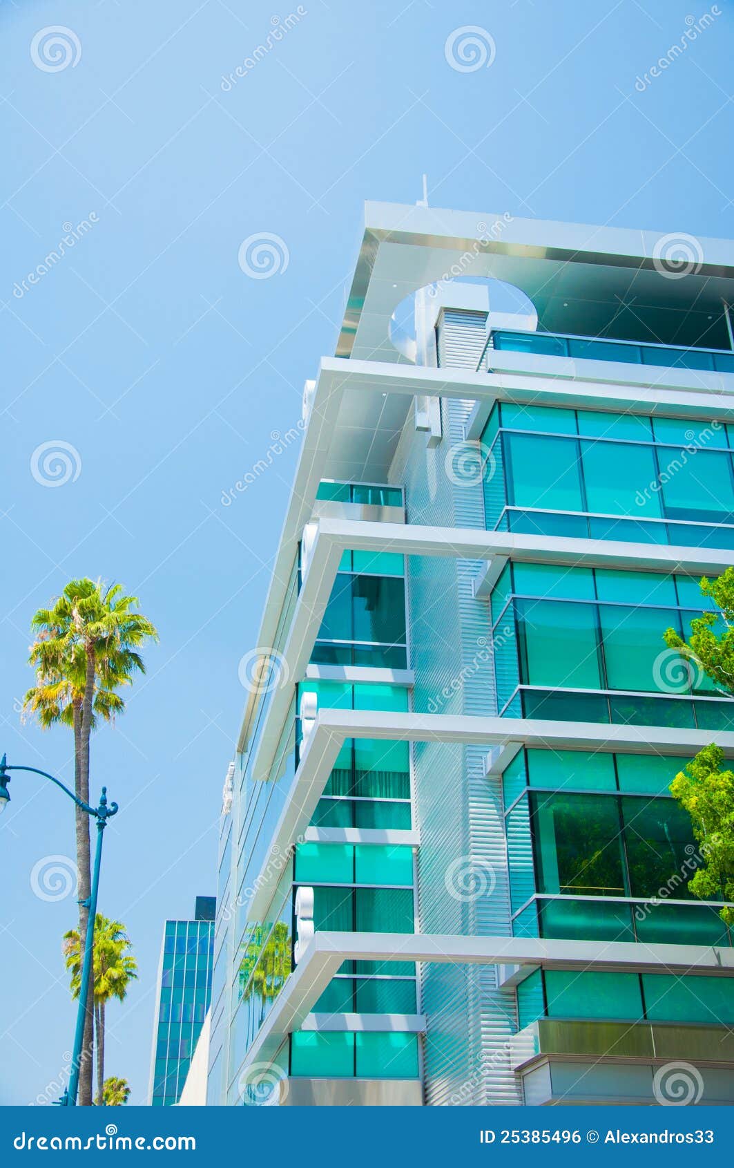 Palm Trees and Modern Architecture Stock Photo - Image of blooming ...