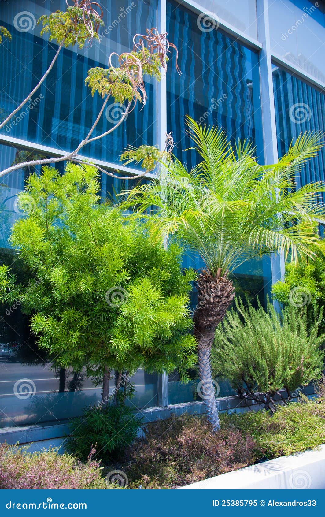 Palm Trees and Modern Architecture Stock Image - Image of california ...