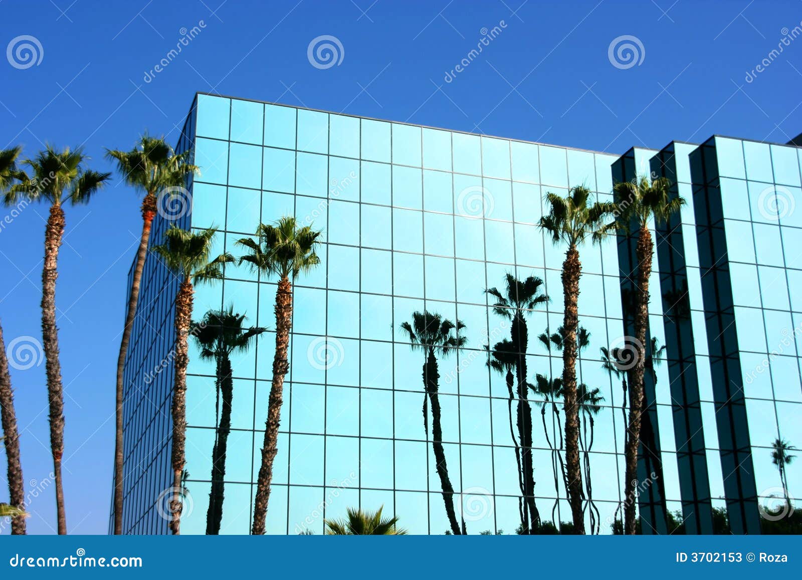Palm Trees and Modern Architecture Stock Image - Image of trees ...