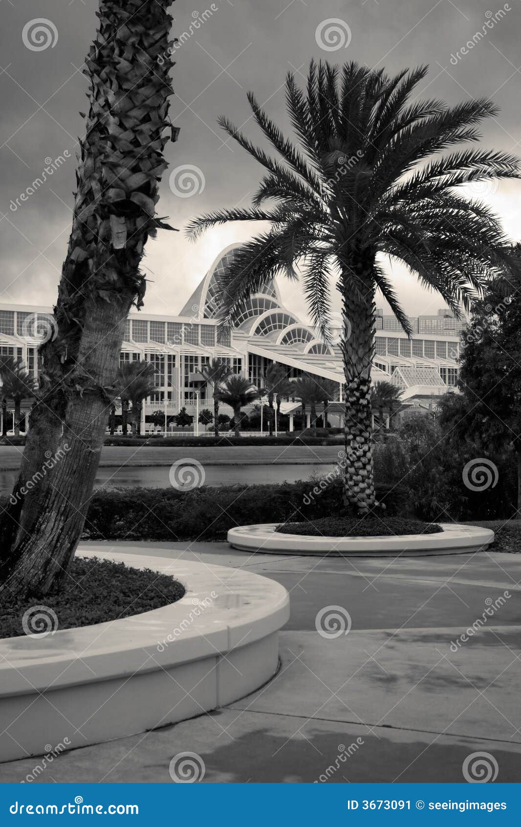Palm Trees and Modern Building Stock Image - Image of buildings, green ...
