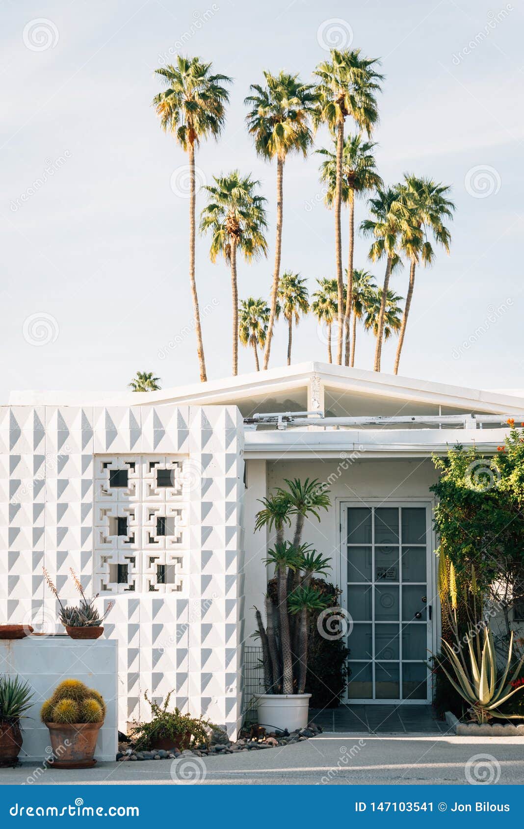 Palm Trees and Modern House in Palm Springs, California Stock Image ...