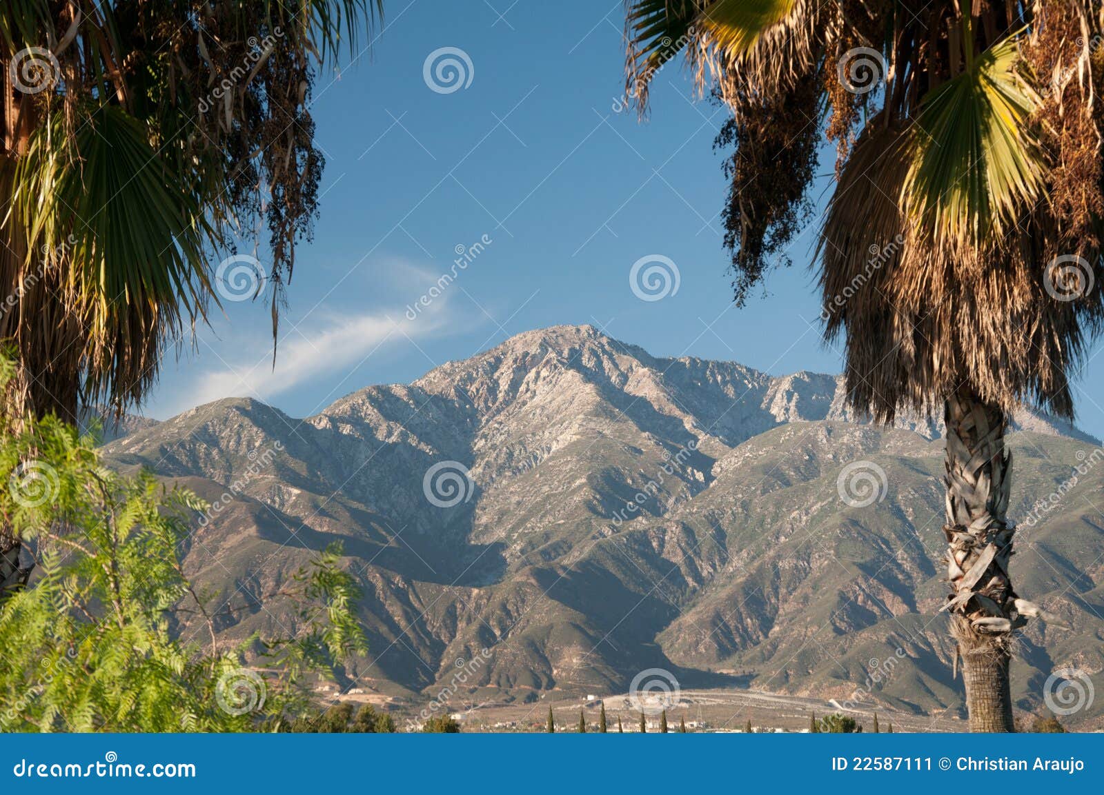 Palm Trees and Mountains stock image. Image of rancho - 22587111