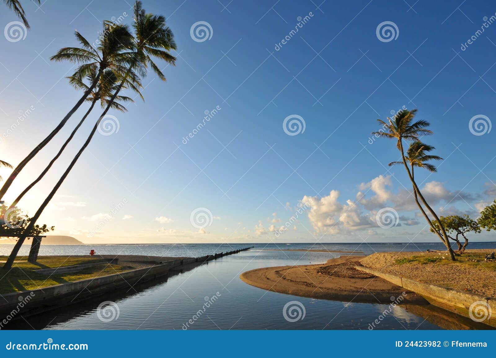 Palm Trees Next To the Ocean by an Inlet Stock Photo - Image of inlet ...