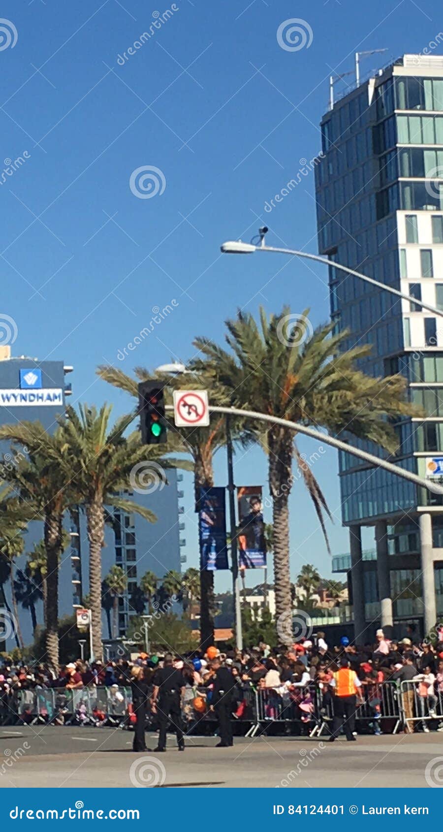 Palm trees at parade editorial photo. Image of sunny - 84124401