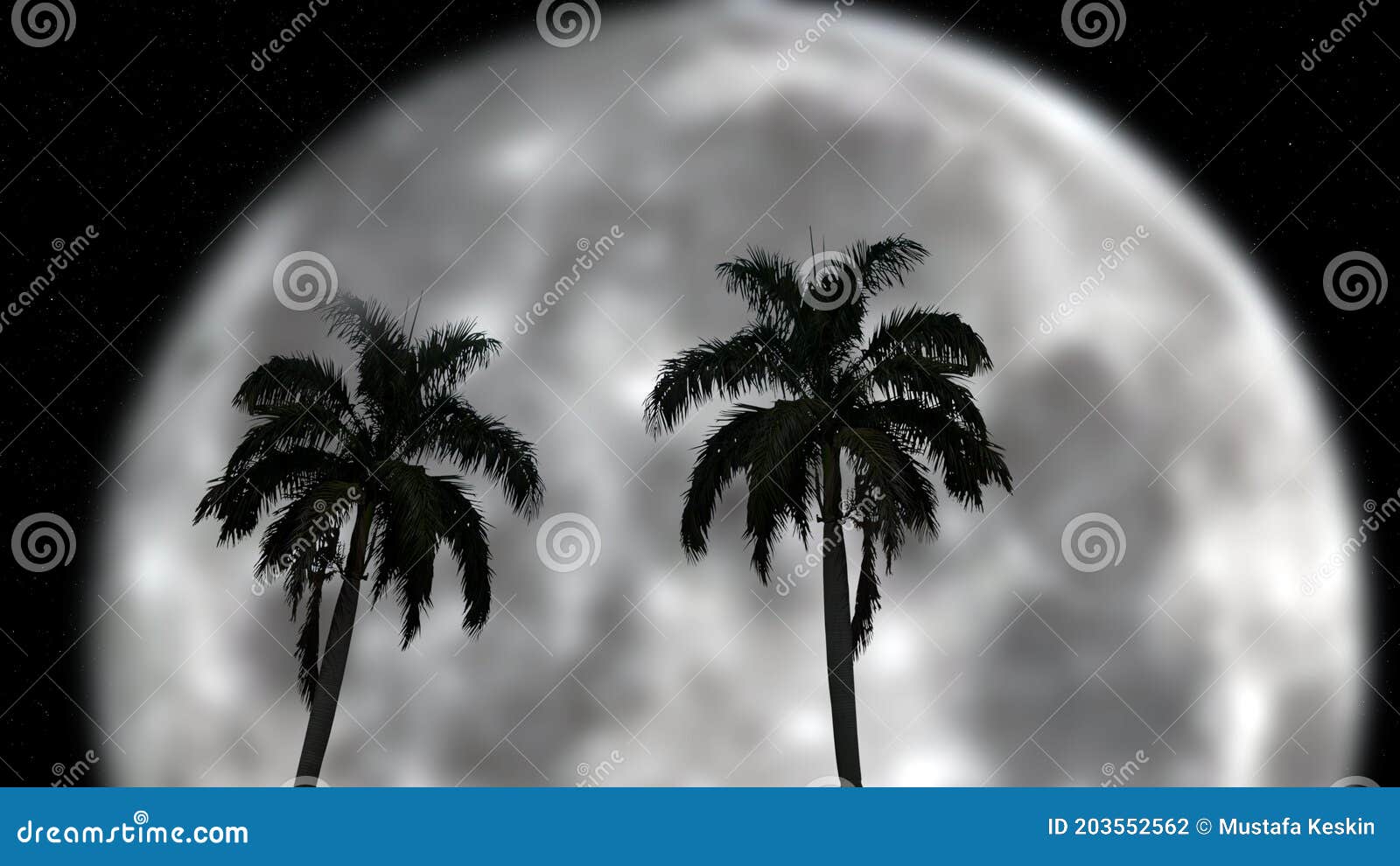 Palm trees and moonlight. stock photo. Image of clear - 203552562