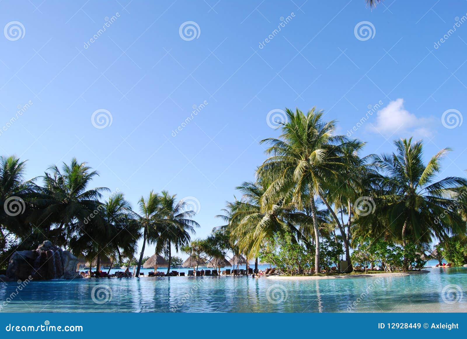 Palm trees and pool stock image. Image of horizon, island - 12928449