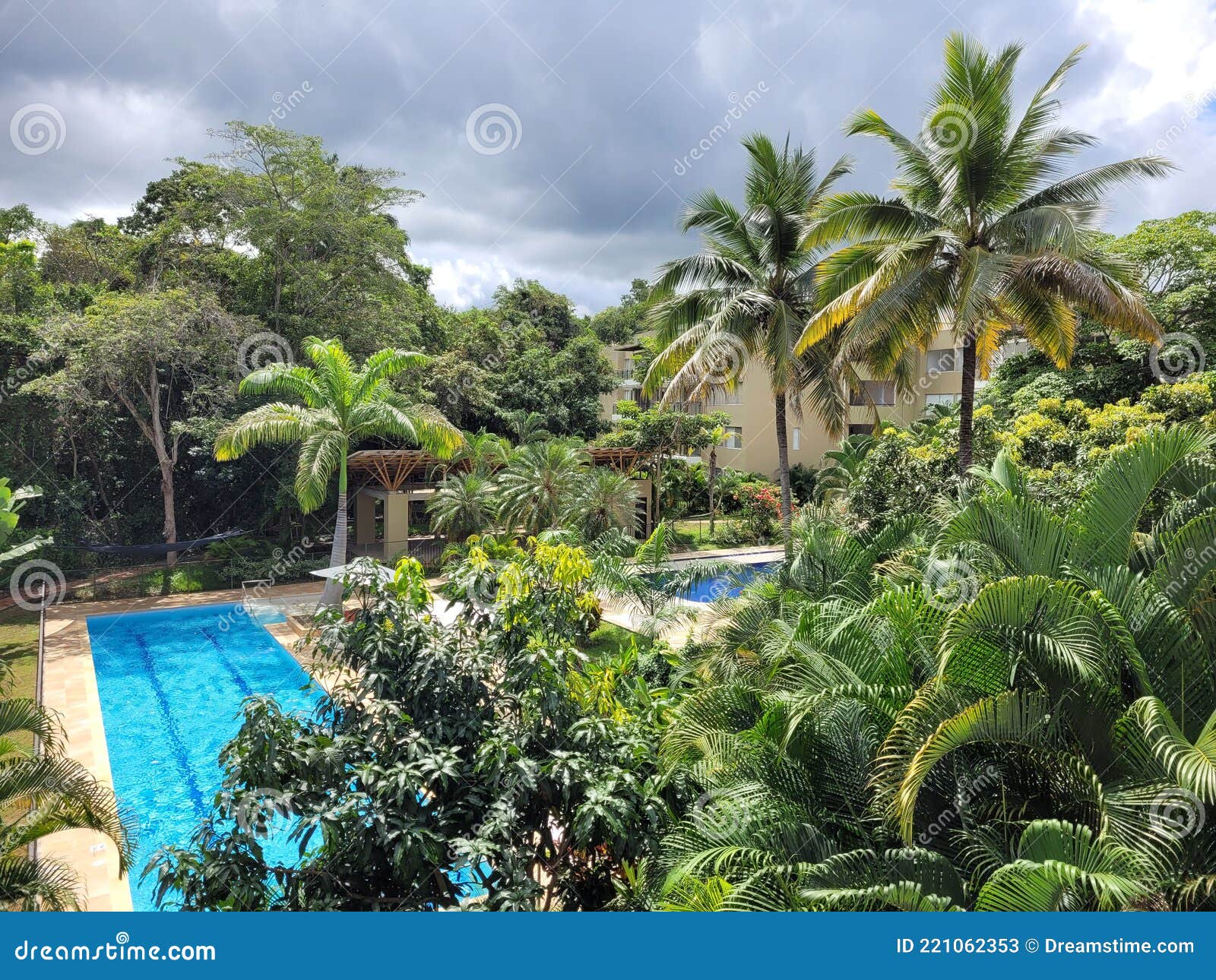 Palm trees by the pool editorial stock photo. Image of estate - 221062353