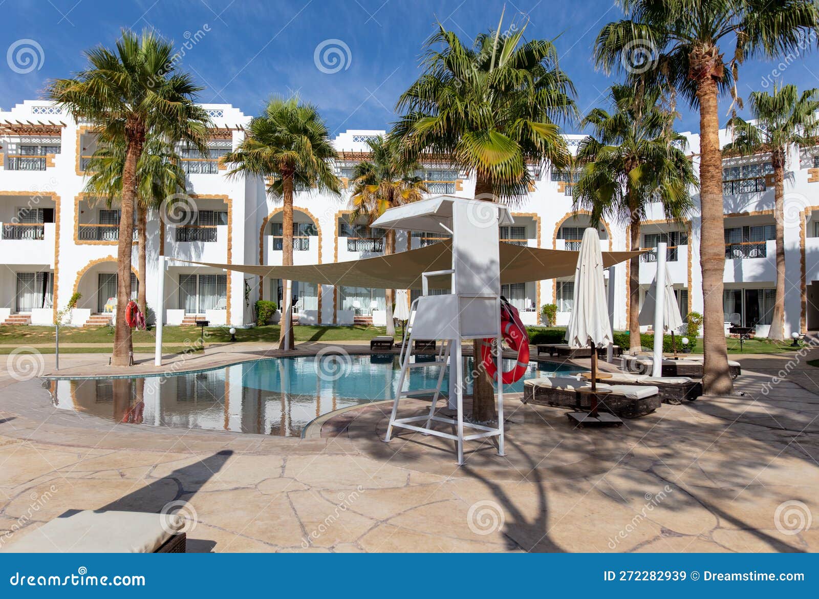 Palm trees by the pool. stock image. Image of tourism - 272282939