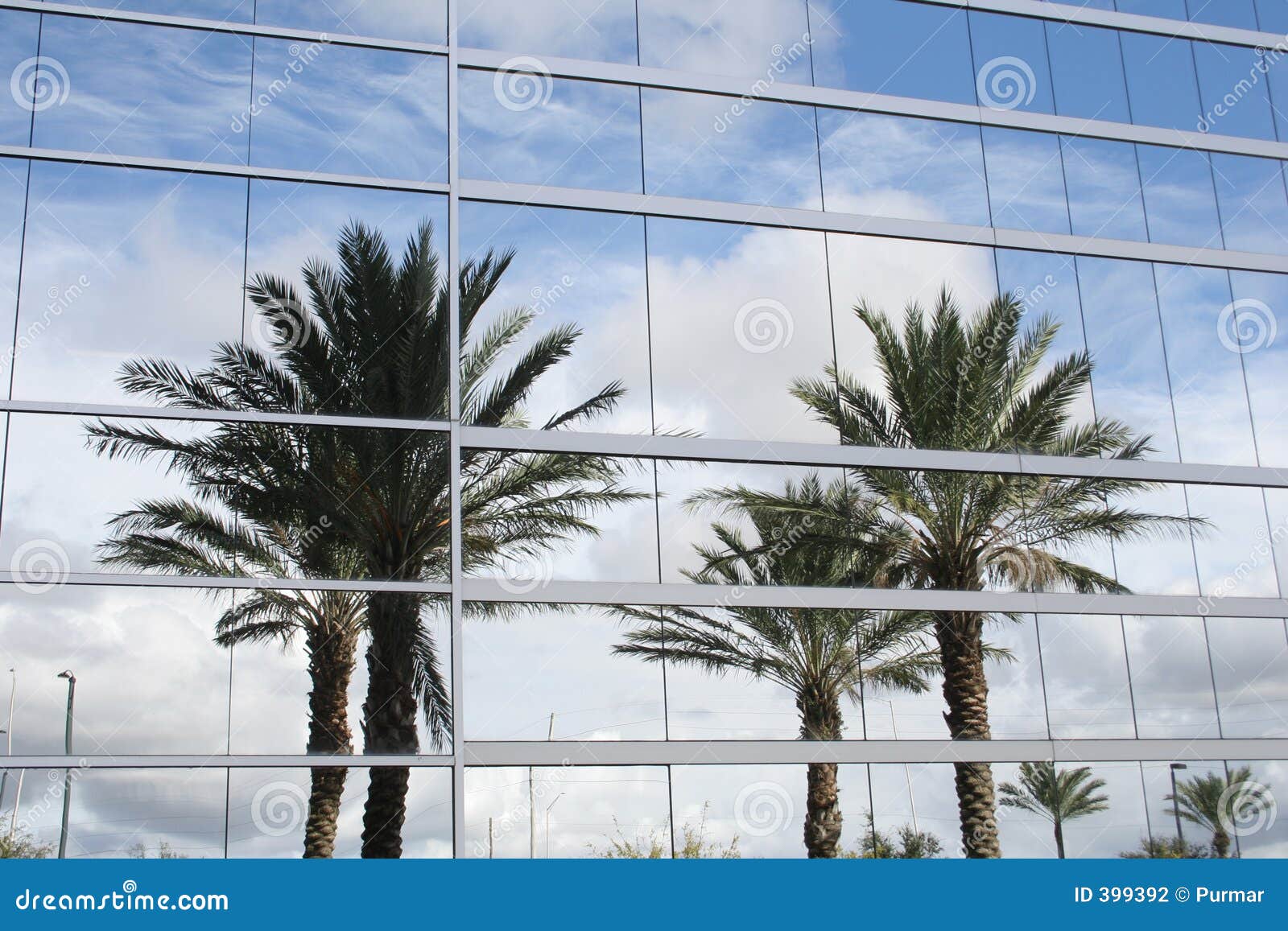 Palm trees reflection stock photo. Image of lights, buildings - 399392