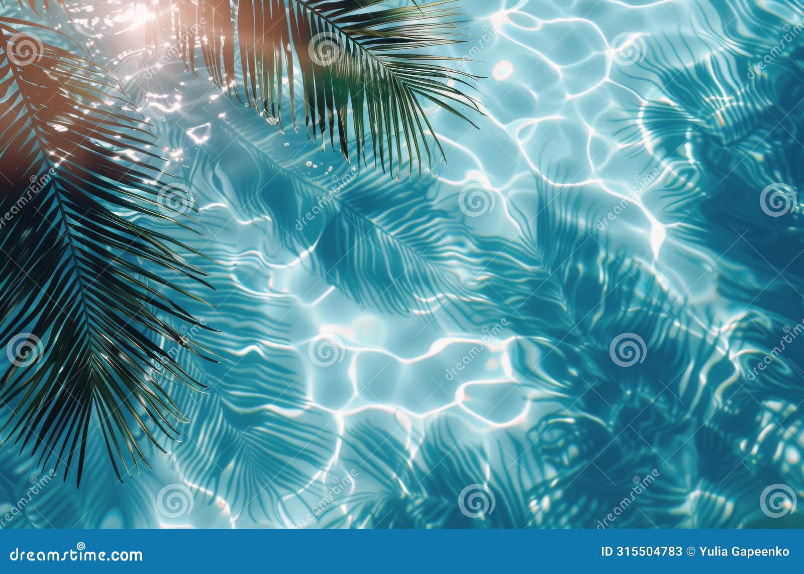 Palm Tree Reflected in Water Stock Image - Image of pool, paradise ...