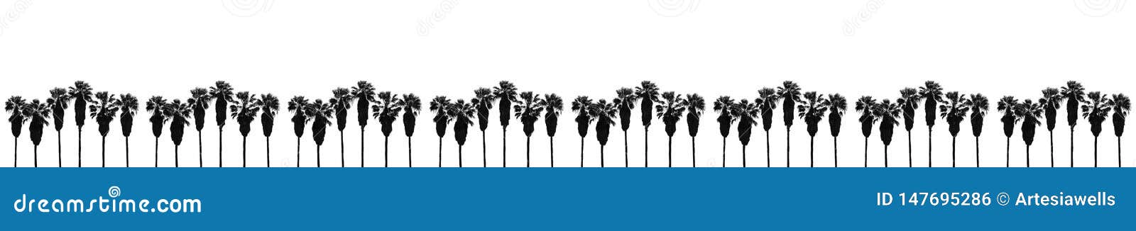 Palm trees in a row stock photo. Image of concept, island - 147695286