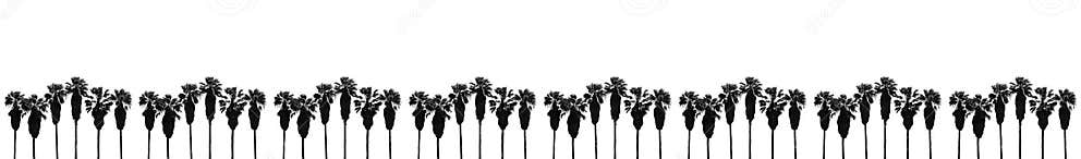 Palm trees in a row stock photo. Image of concept, island - 147695286