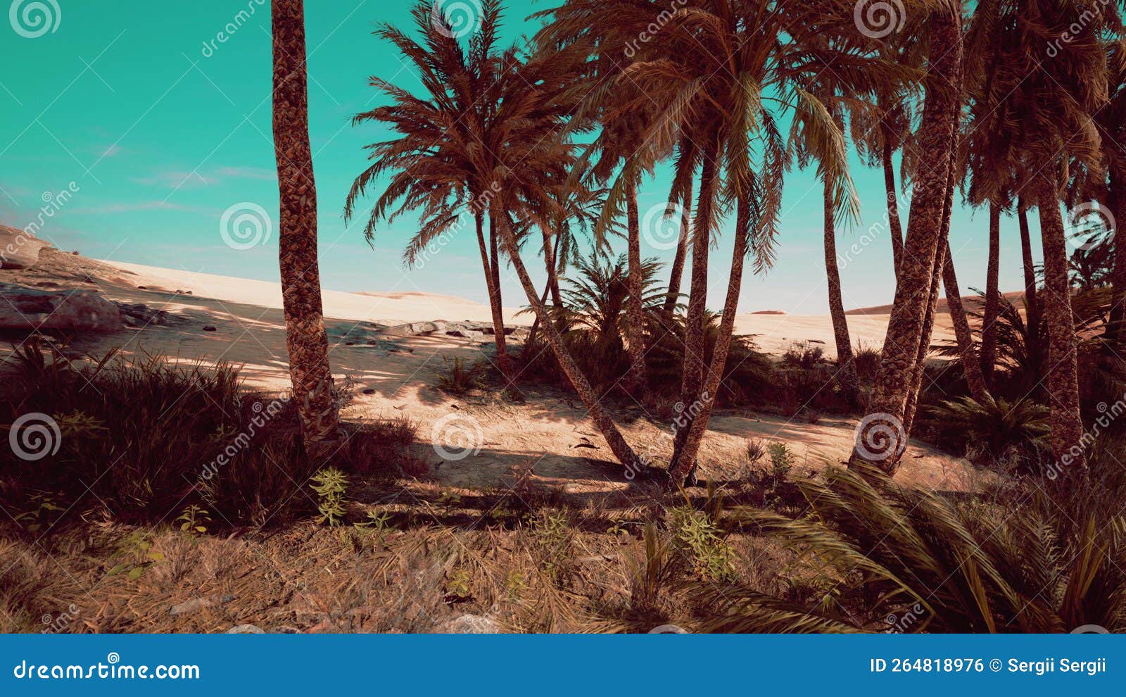 Palm Trees in the Sahara Desert Stock Illustration - Illustration of ...