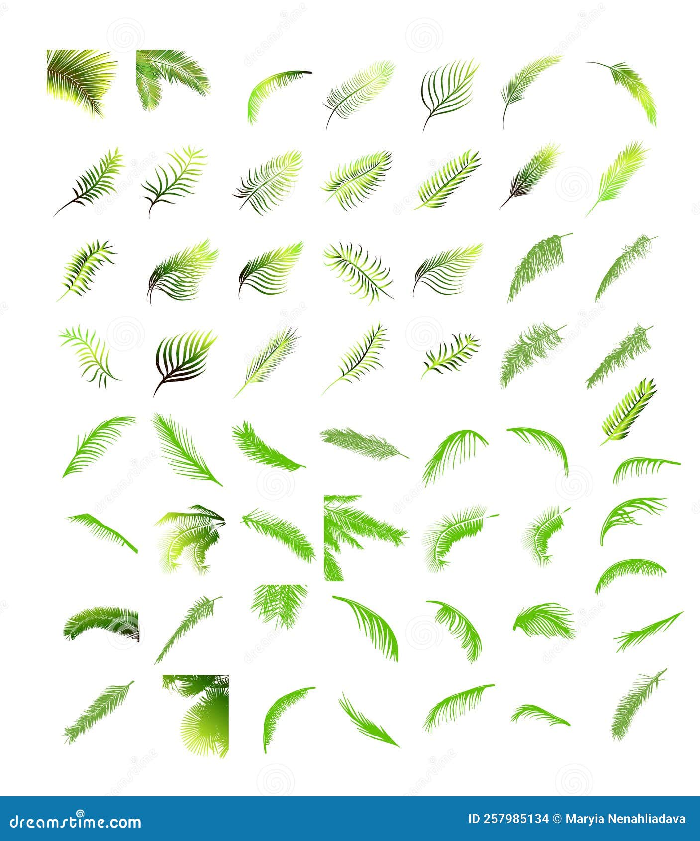 Palm Trees Set. Palm Leaves Elements. Vector Illustration Stock Vector ...