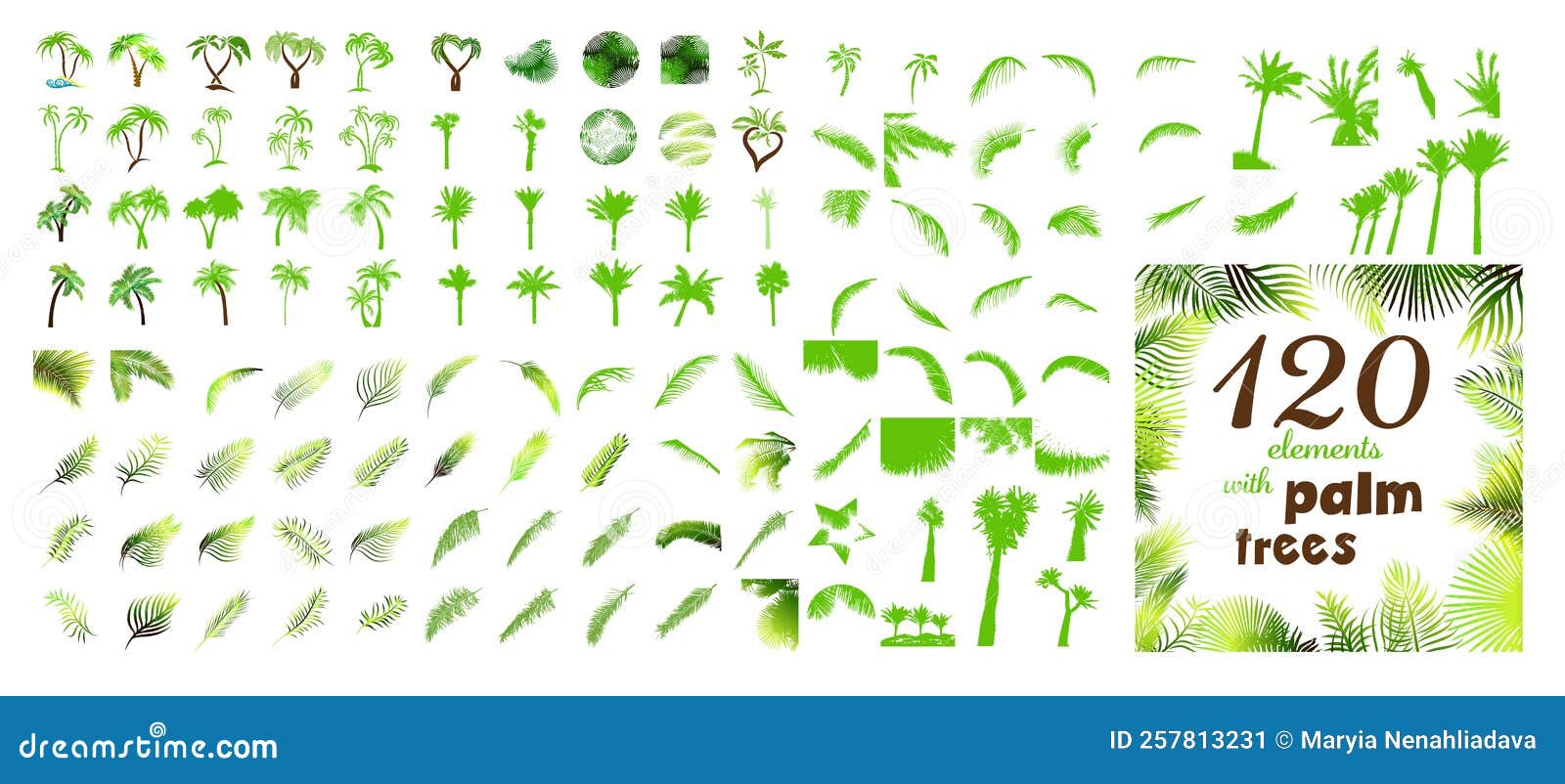 Palm Trees Set. Palm Leaves Elements. Vector Illustration Stock Vector ...
