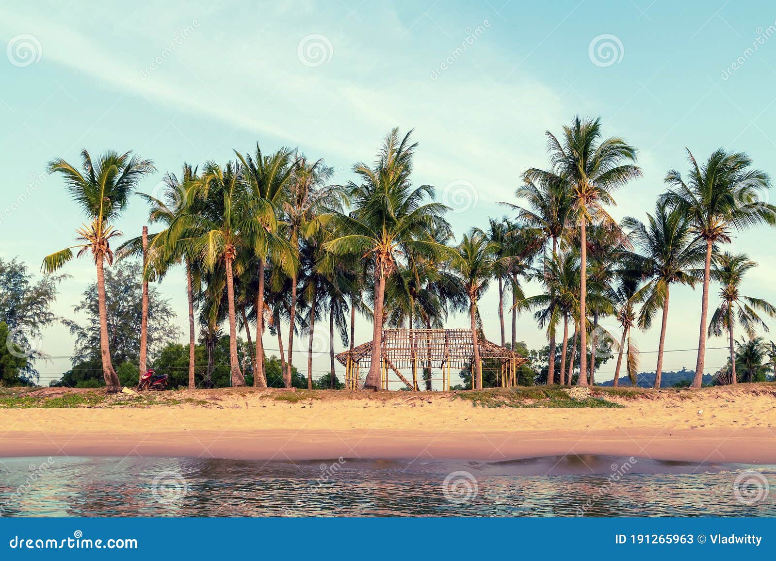 Palm Trees with Shadow Bamboo Hut Stock Image - Image of beautiful ...