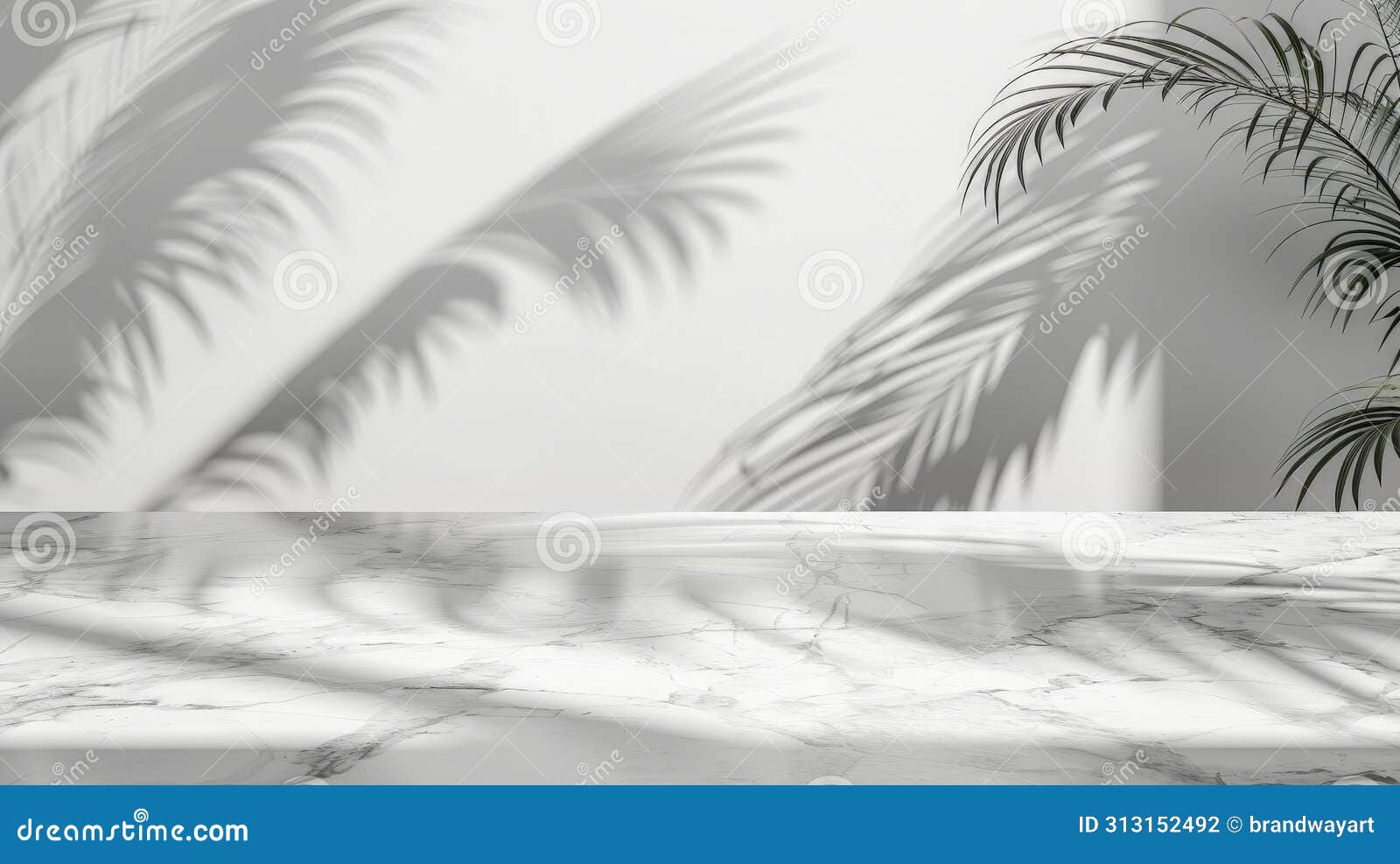 Palm Trees Shadow on Wall stock illustration. Illustration of tropical ...